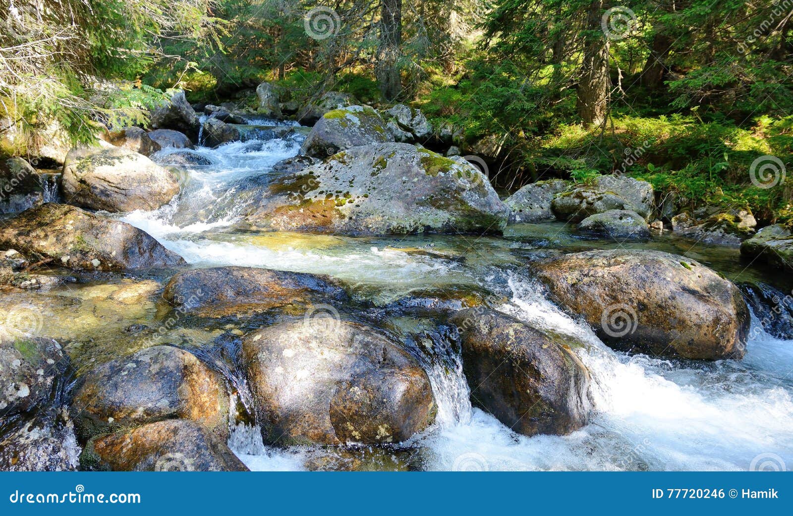Flowing Water in the Stream Stock Photo - Image of flowing, flow: 77720246