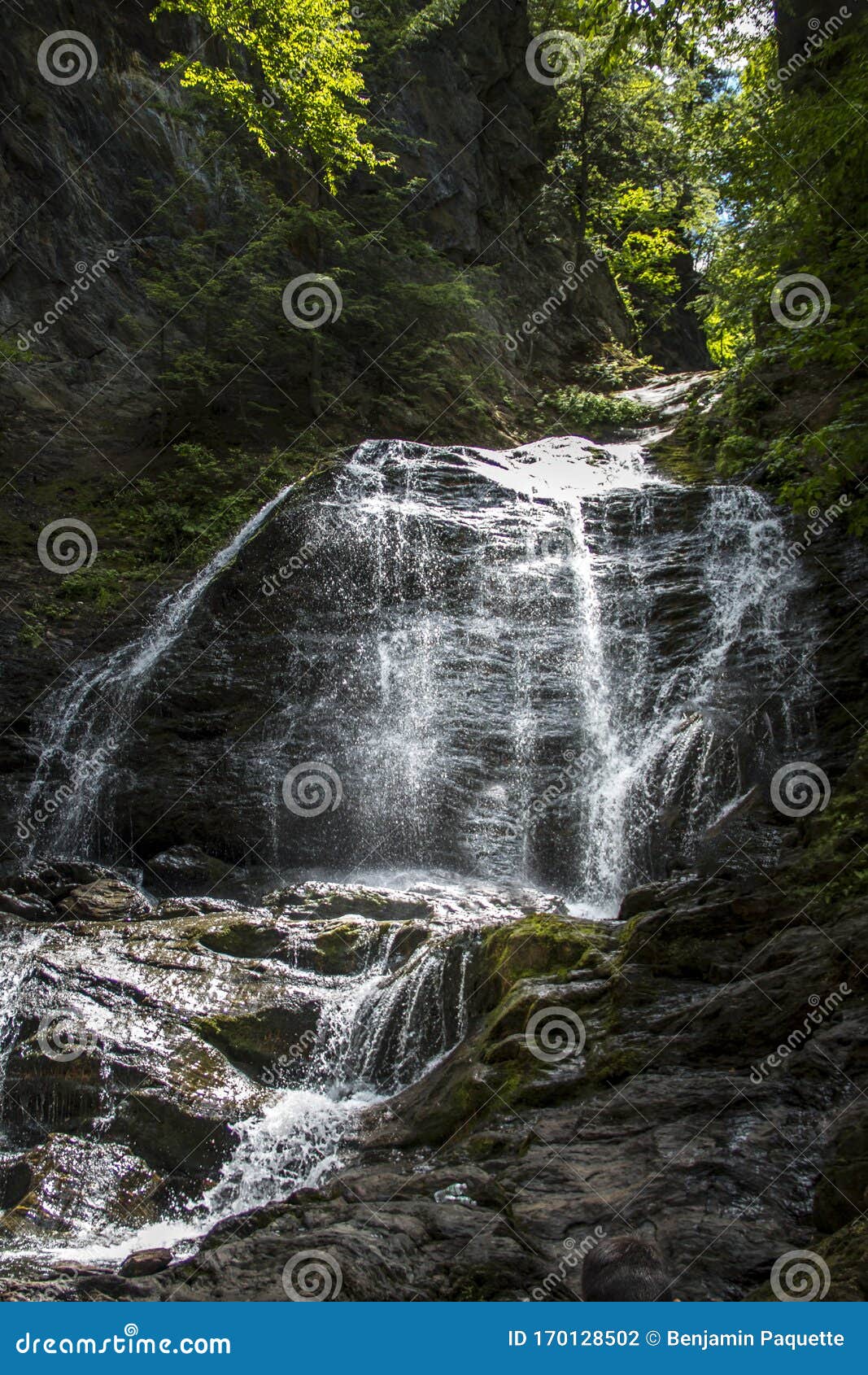 Flowing Waterfall in the Forest Stock Photo - Image of landscape, rock ...