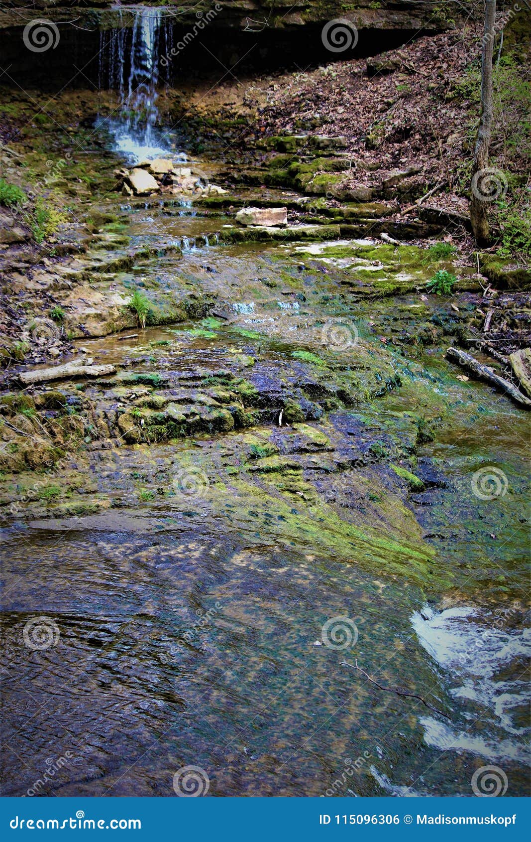 Flowing Waterfall in Ohio stock photo. Image of drip - 115096306