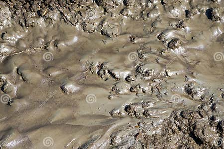 Flowing wet mud texture stock photo. Image of brown, flowing - 41586802