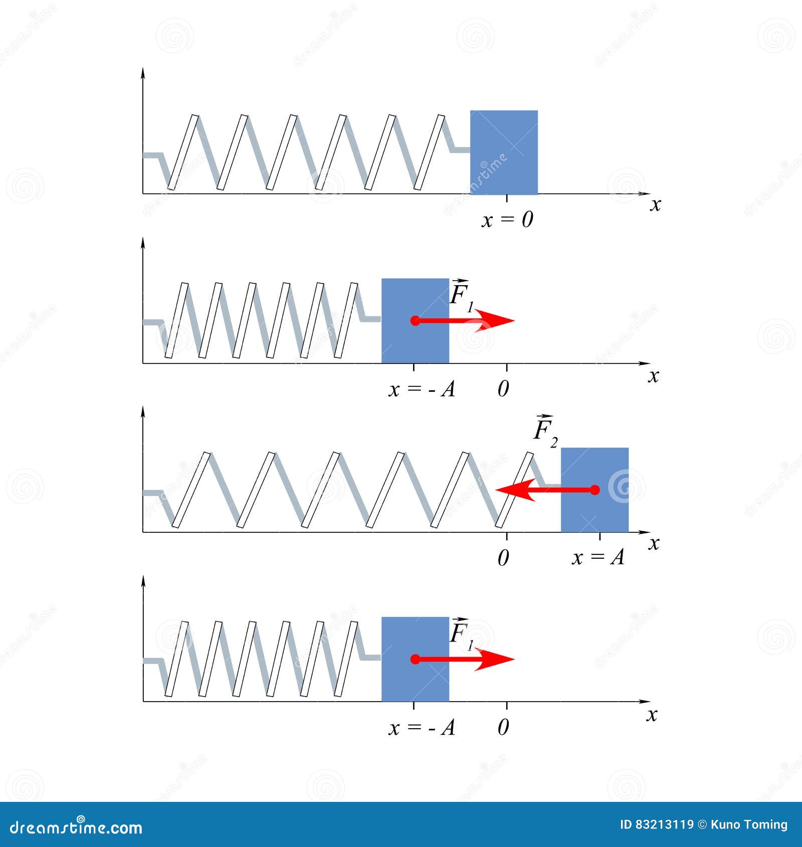 Hooke Law Experiment Infographic Diagram Physics Mechanics Dynamics ...