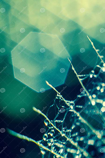 Fluff closeup macro stock photo. Image of flying, background - 104564530