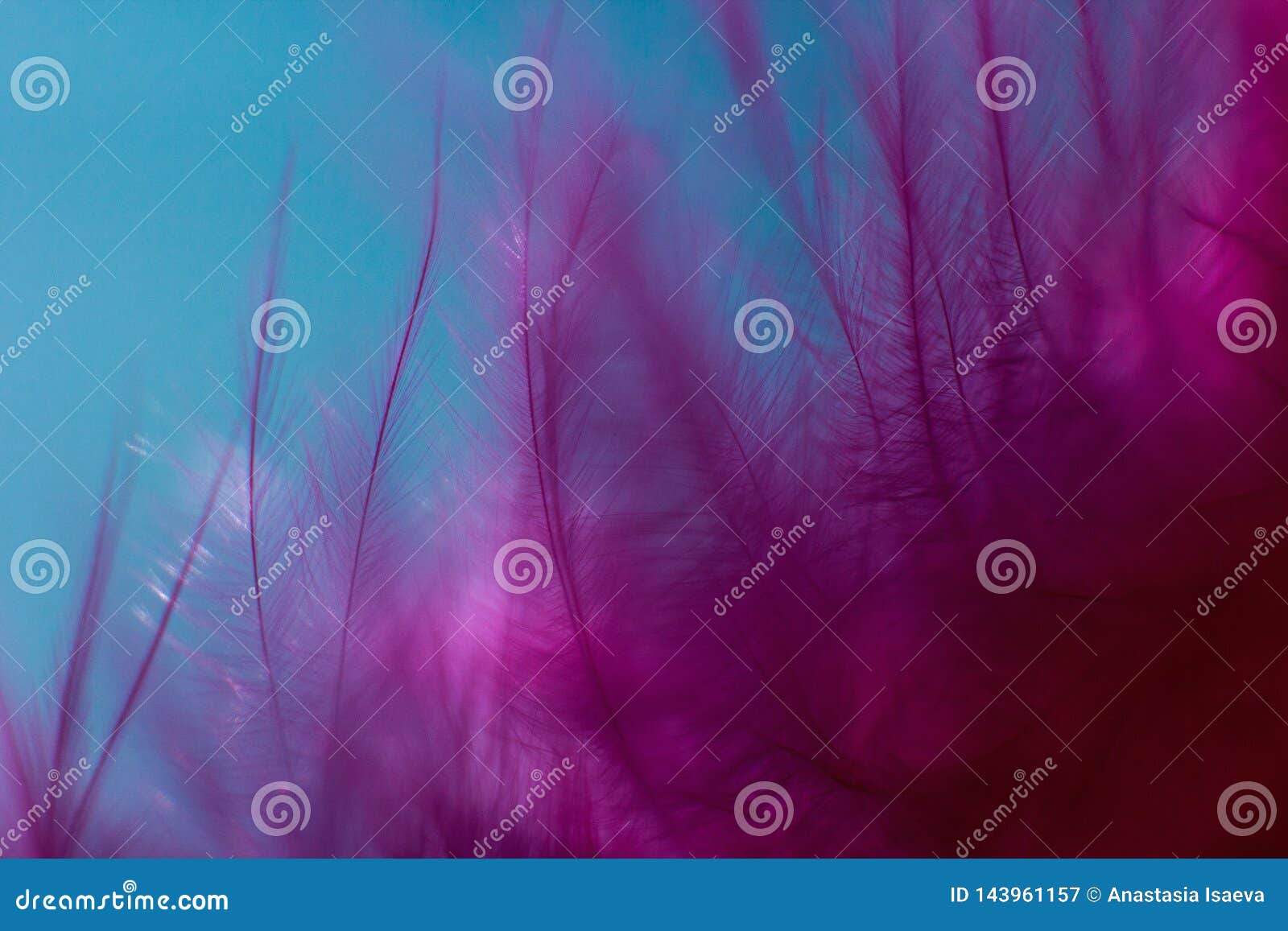 Fluff Macro Texture Abstract Background Stock Illustration ...