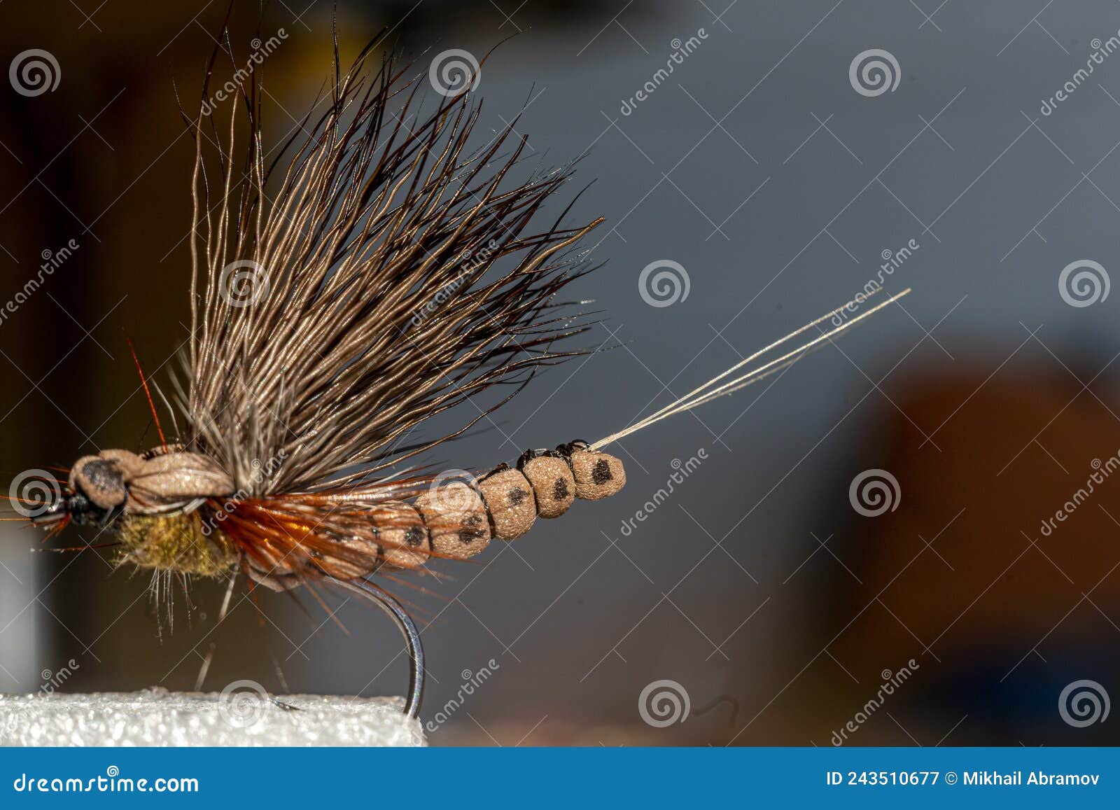Fluffy Artificial Fly, Mayfly Imitation. Fly Fishing Stock Image ...