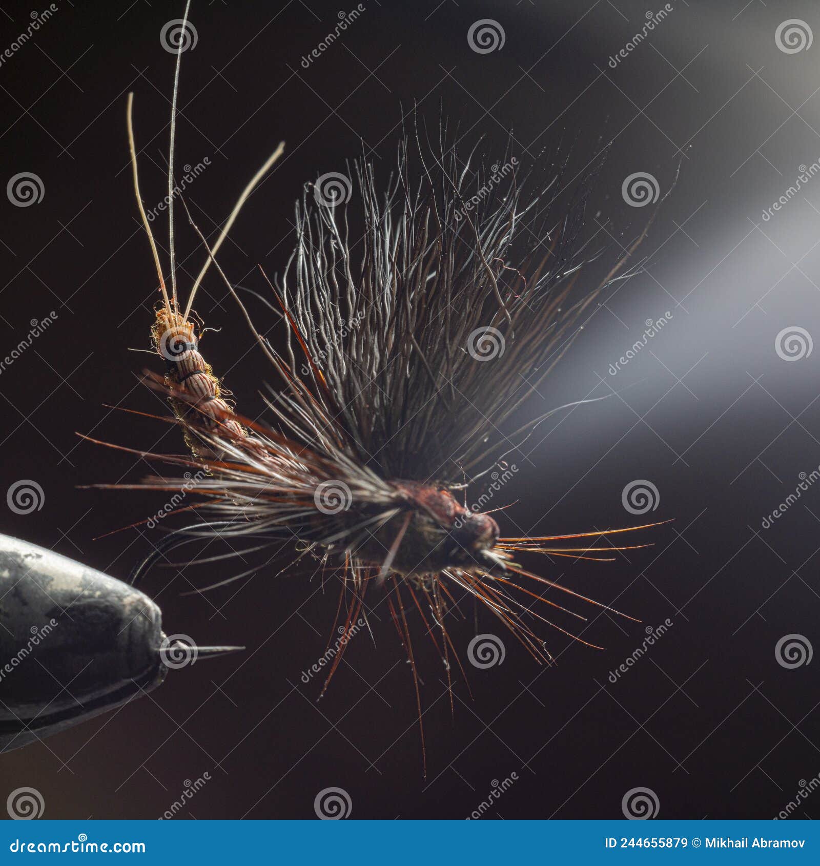 Fluffy Artificial Fly, Mayfly Imitation. Fly Fishing Stock Image ...