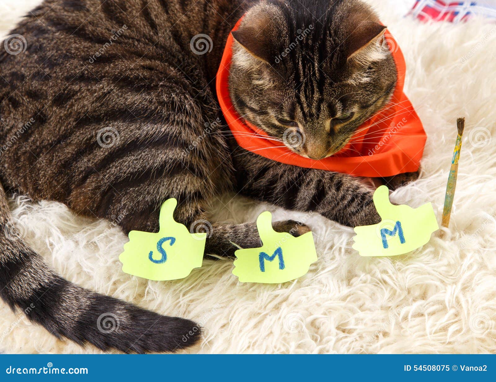 Fluffy Artist Shows His Work Stock Image - Image of handsome, call ...