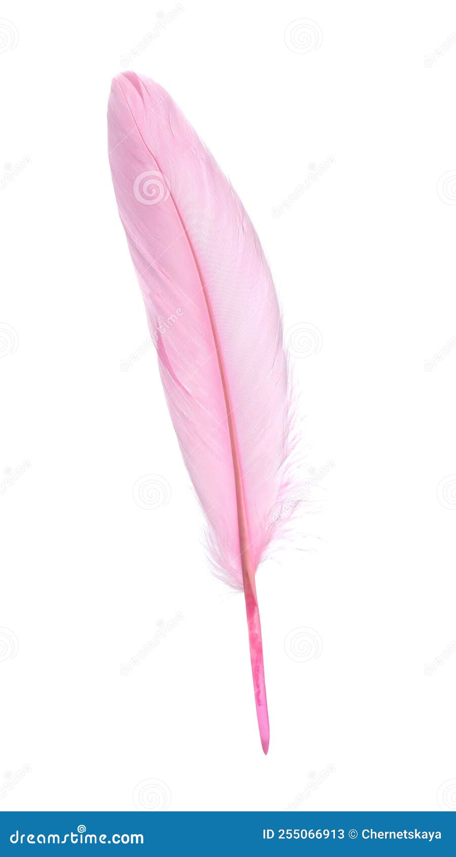 Fluffy Beautiful Pink Feather on White Stock Image - Image of fluffy ...
