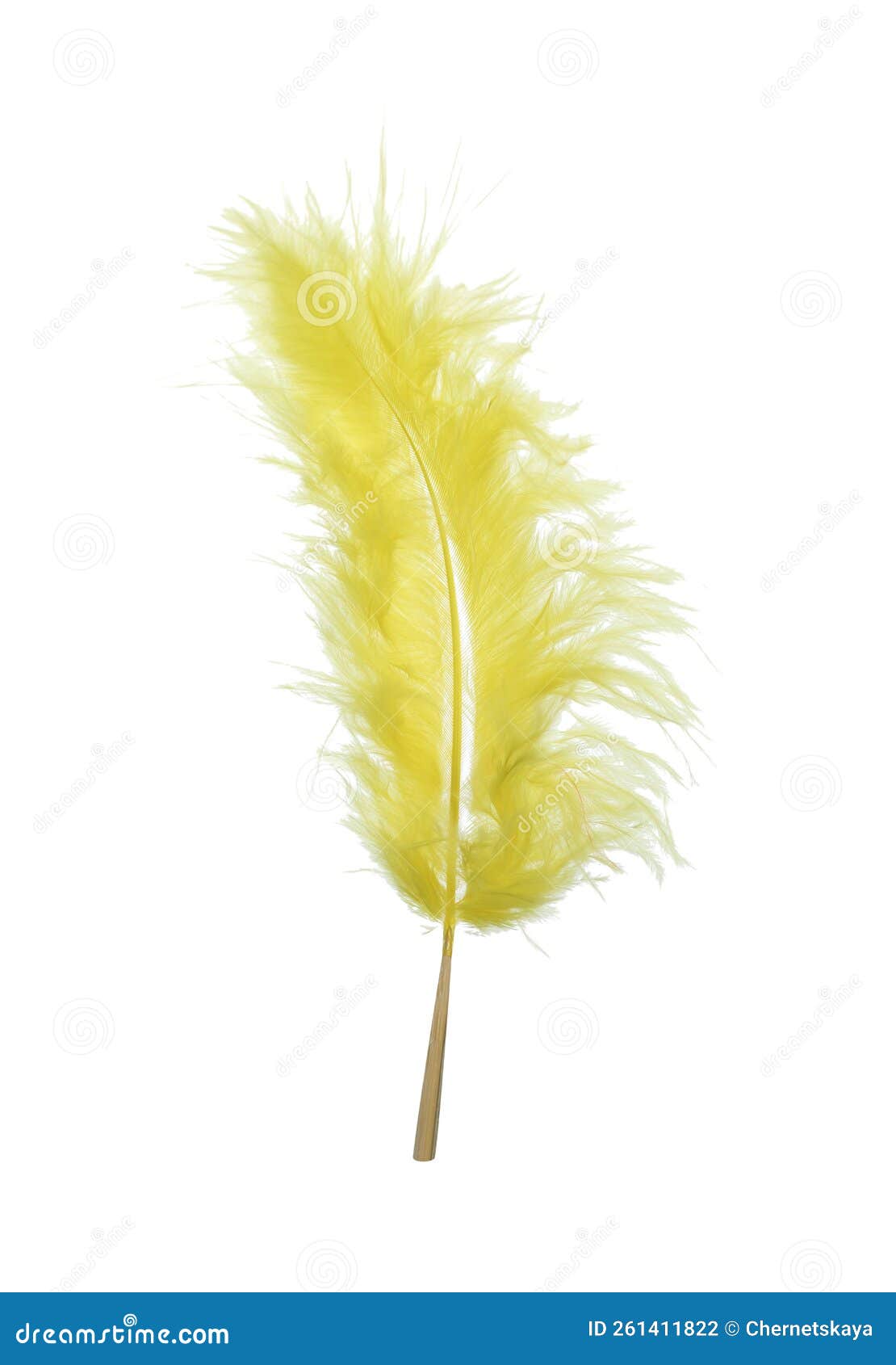 Fluffy Beautiful Yellow Feather Isolated on White Stock Photo - Image ...