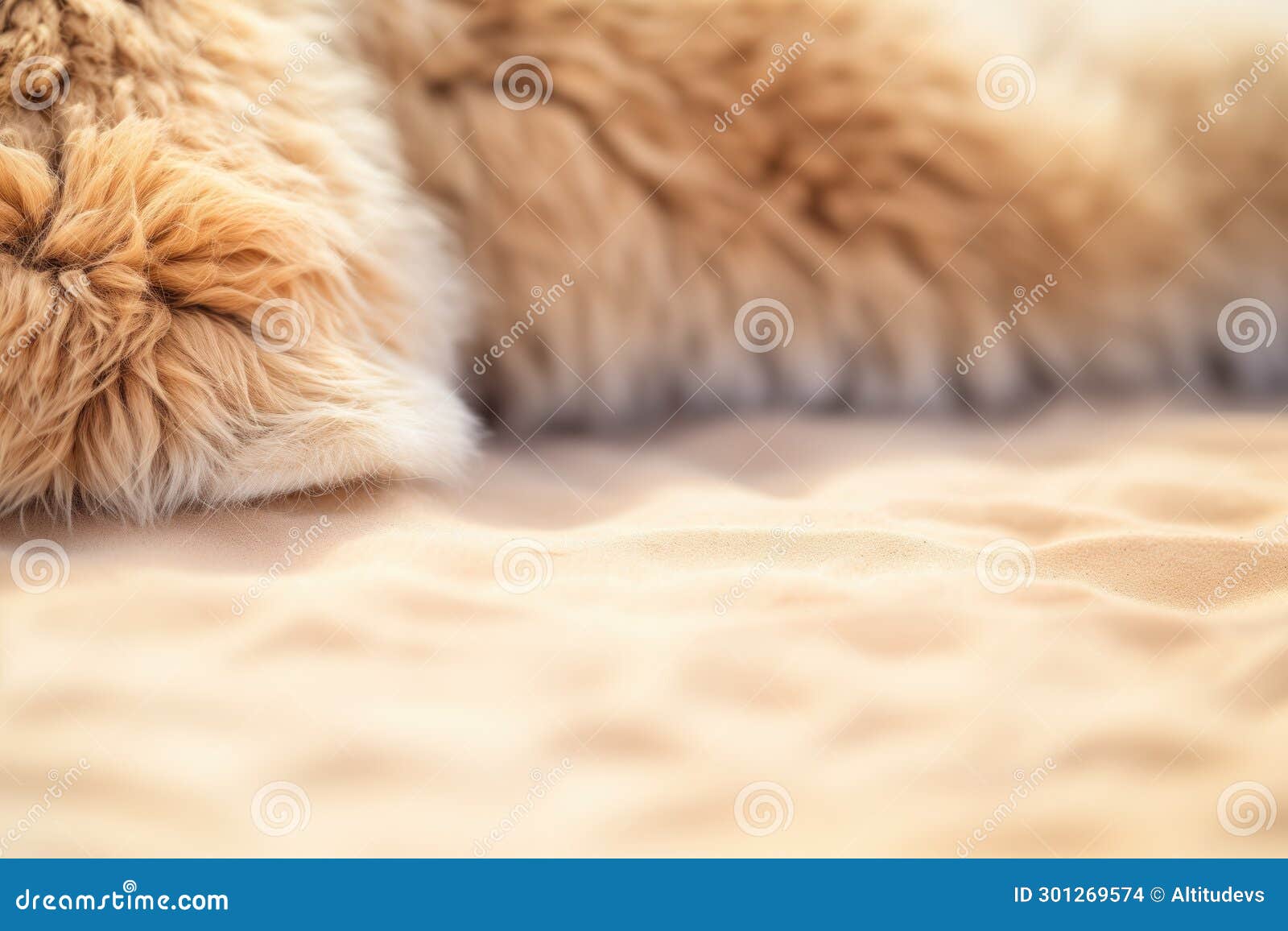 Fluffy Camel Fur Close-up with a Sandy Backdrop Stock Illustration ...