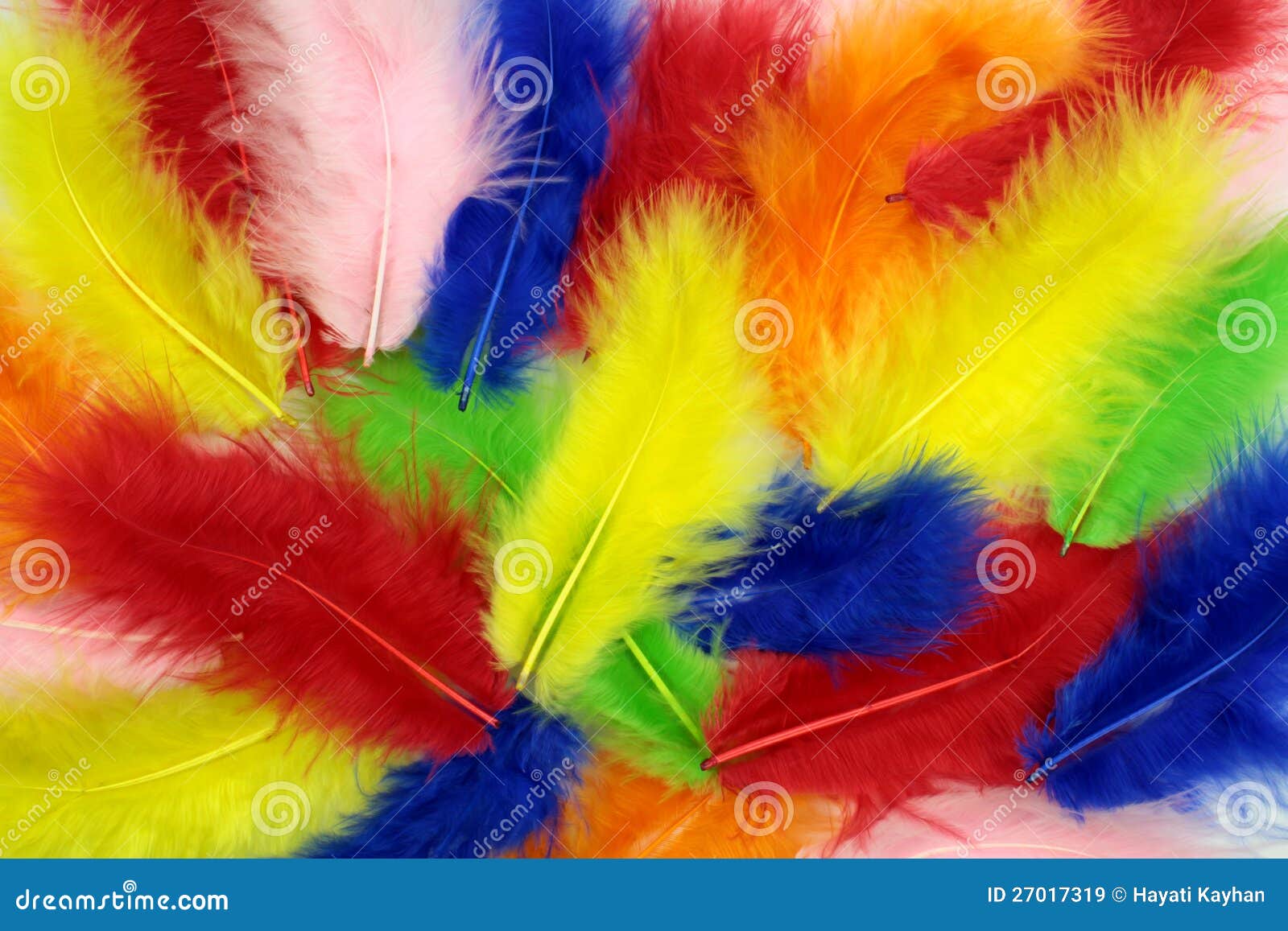 Fluffy Colorful Feathers Background Stock Image - Image of fragile ...