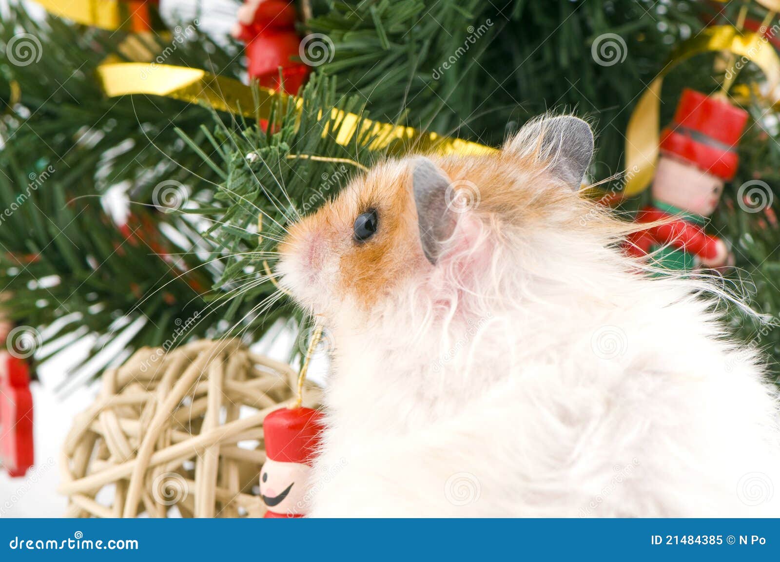 Fluffy Cute Hamster with Decorated Christmas Tree Stock Image - Image ...