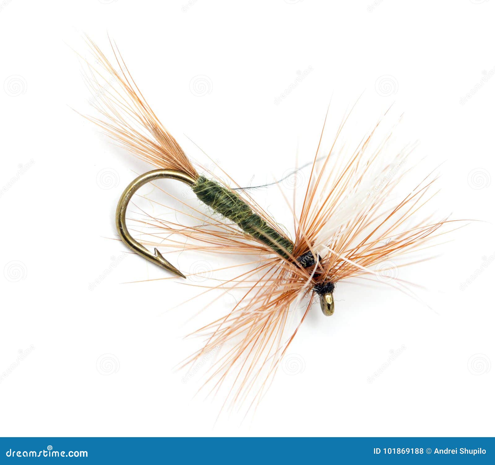 Fluffy Fly Fishing Hook Isolated on White Stock Photo - Image of hackle ...