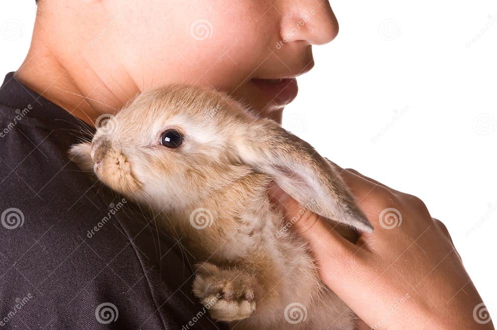 Fluffy friend stock photo. Image of ears, teenager, rabbits - 12995190