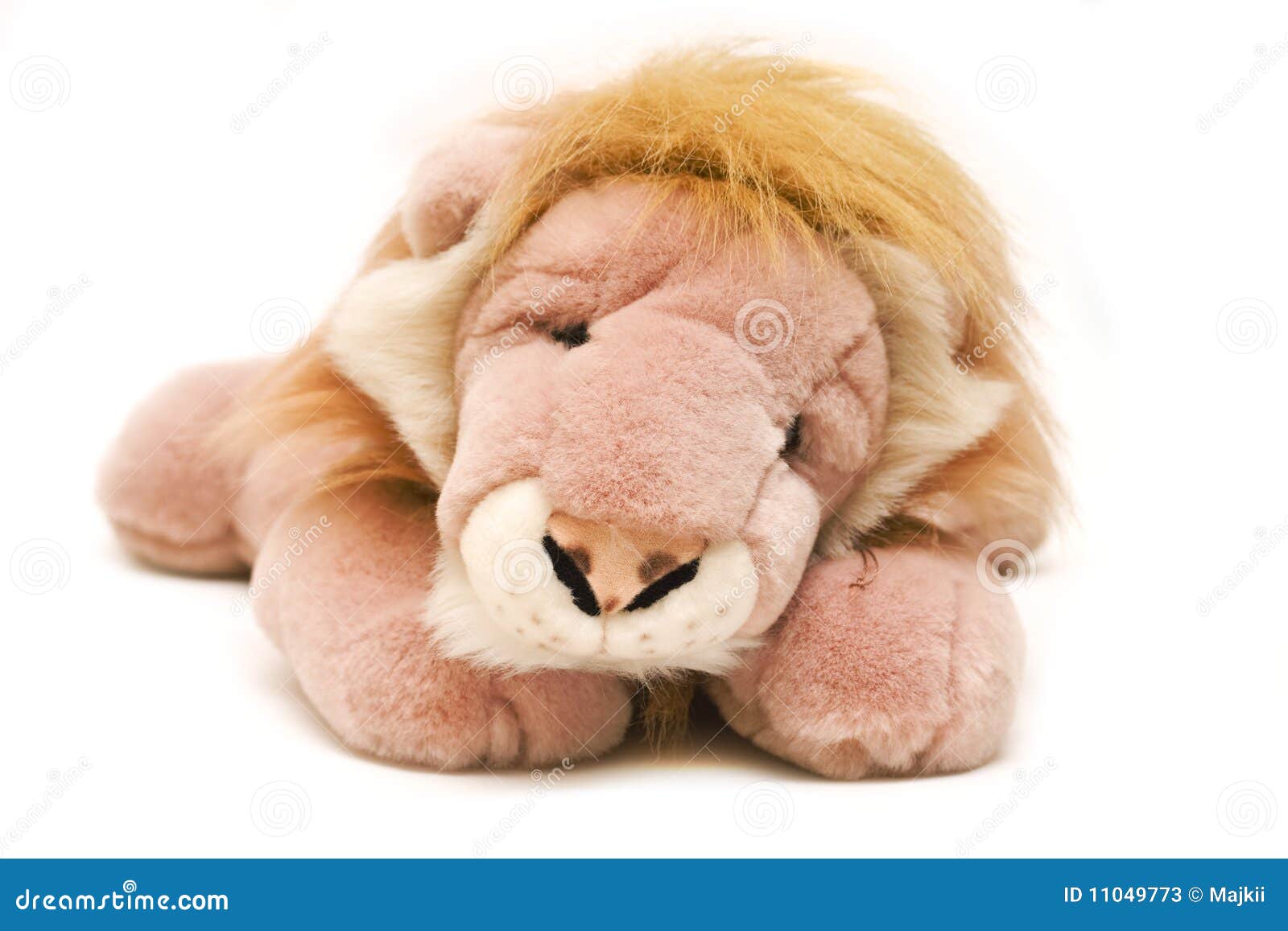 Fluffy Lion Royalty-Free Stock Photography | CartoonDealer.com #11049773