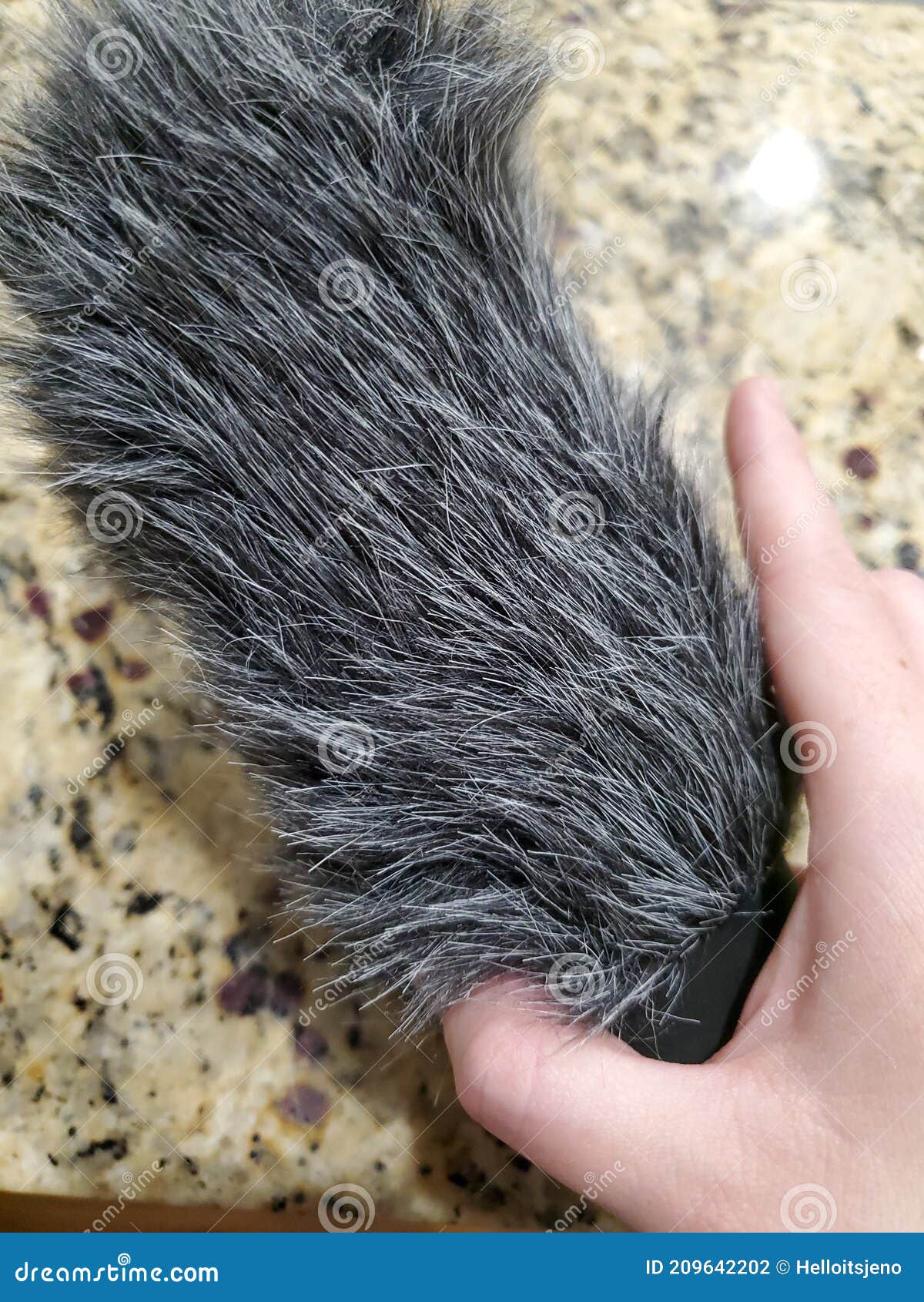 Fluffy Mic Cover Microphone Equipment Stock Photo - Image of organ ...