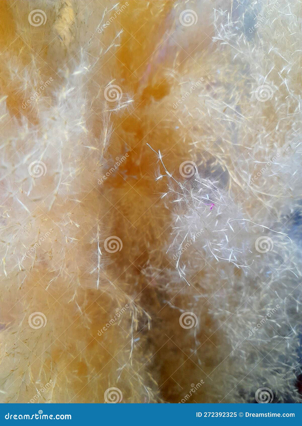 Fluffy Multi-colored Surface. Color Fluffy Background Stock Image ...