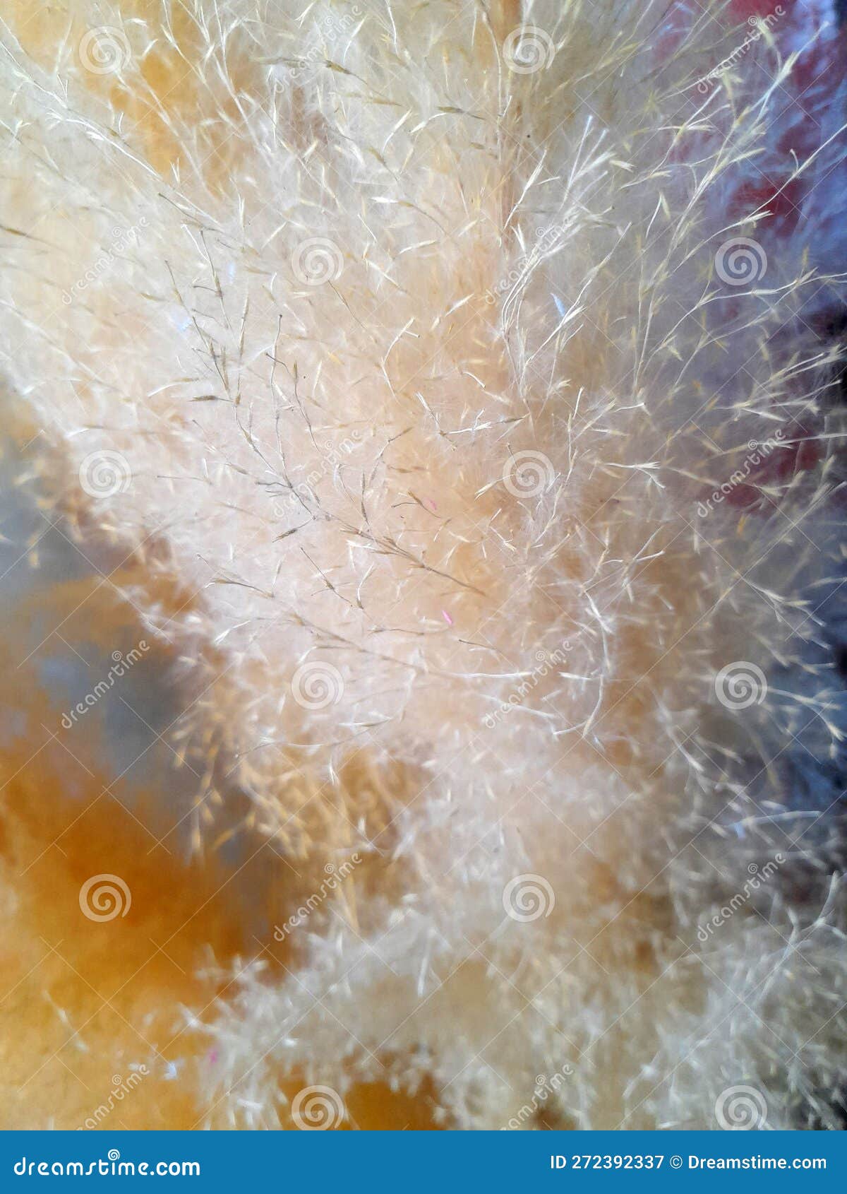 Fluffy Multi-colored Surface. Color Fluffy Background Stock Image ...