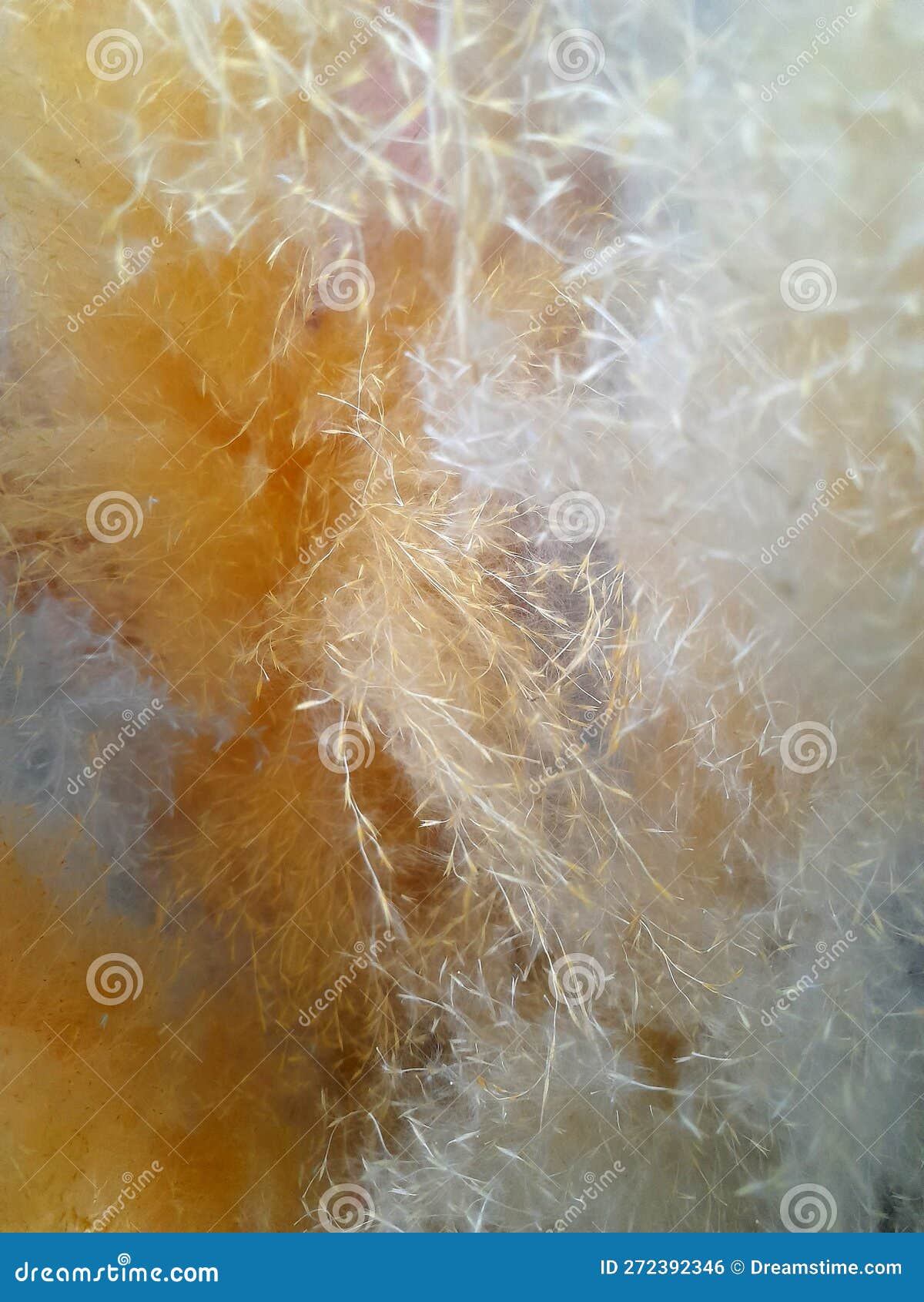 Fluffy Multi-colored Surface. Color Fluffy Background Stock Photo ...