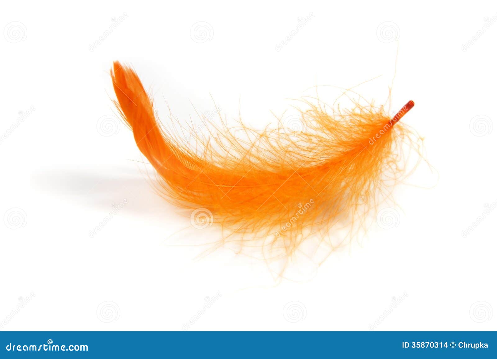 Fluffy Orange Feather on White Background Stock Photo - Image of fire ...