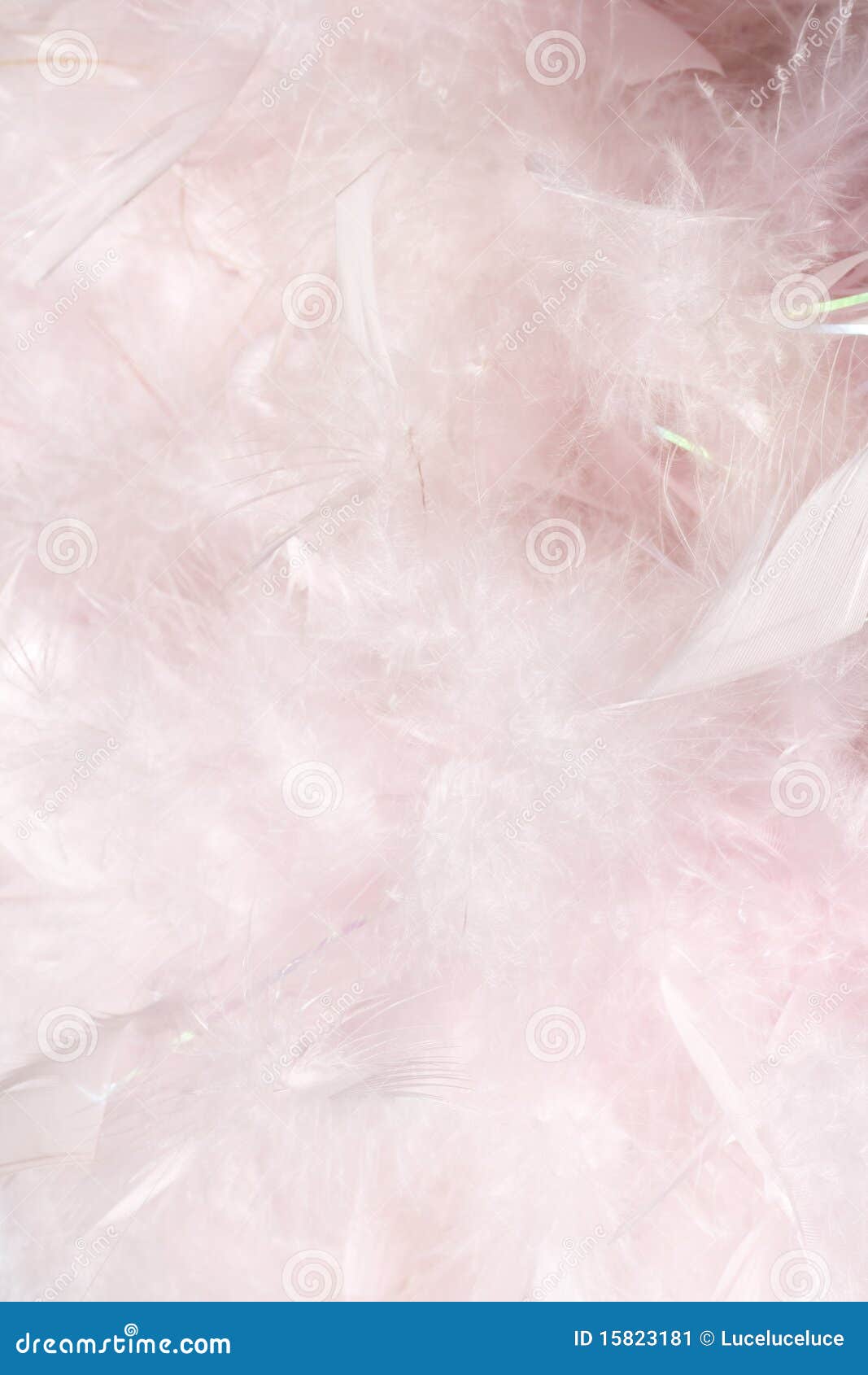Fluffy Pink Peonies Flowers Stock Image | CartoonDealer.com #118941337