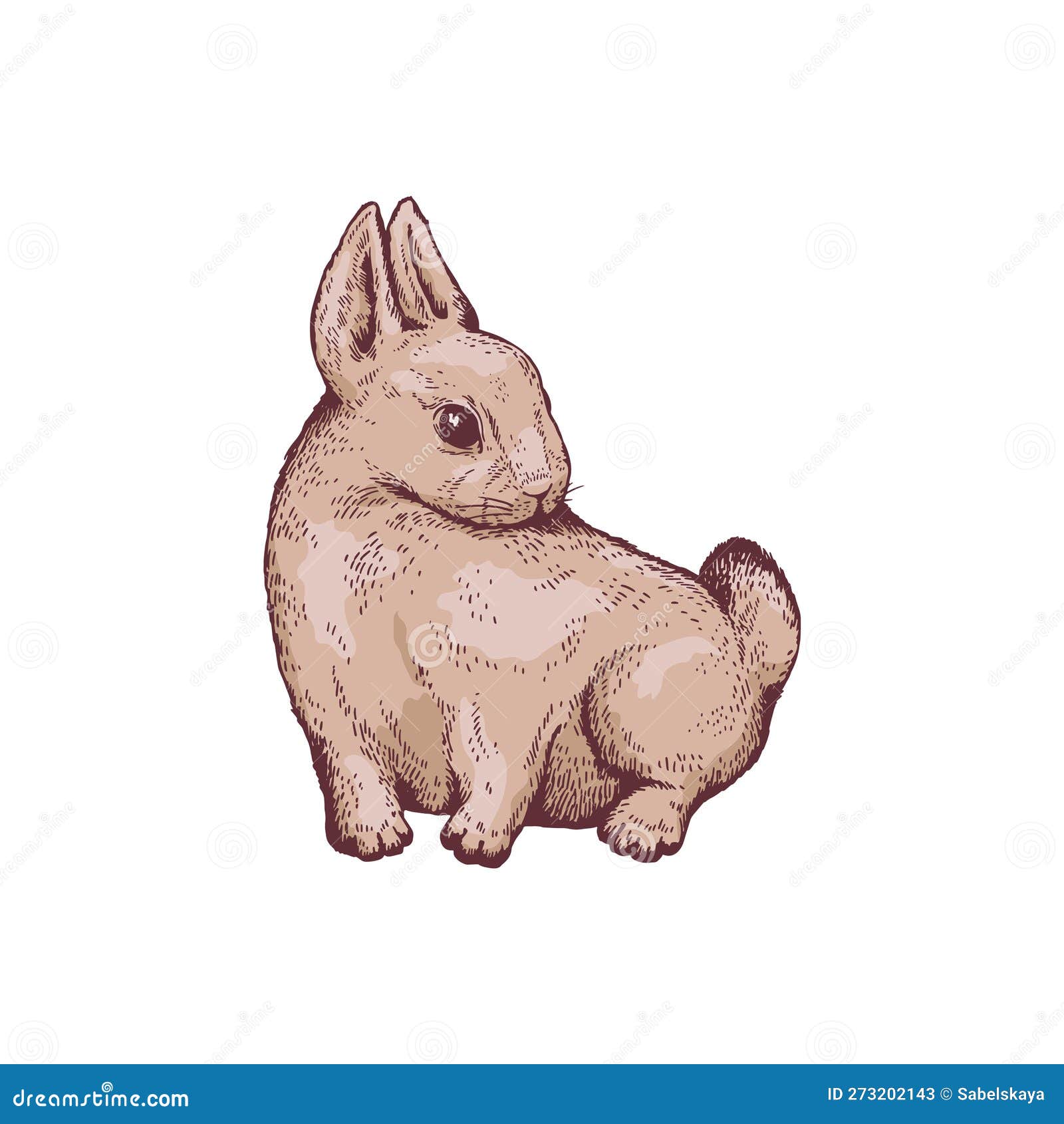 Fluffy Rabbit Vector Drawing, Sketch Style Illustration Isolated on ...
