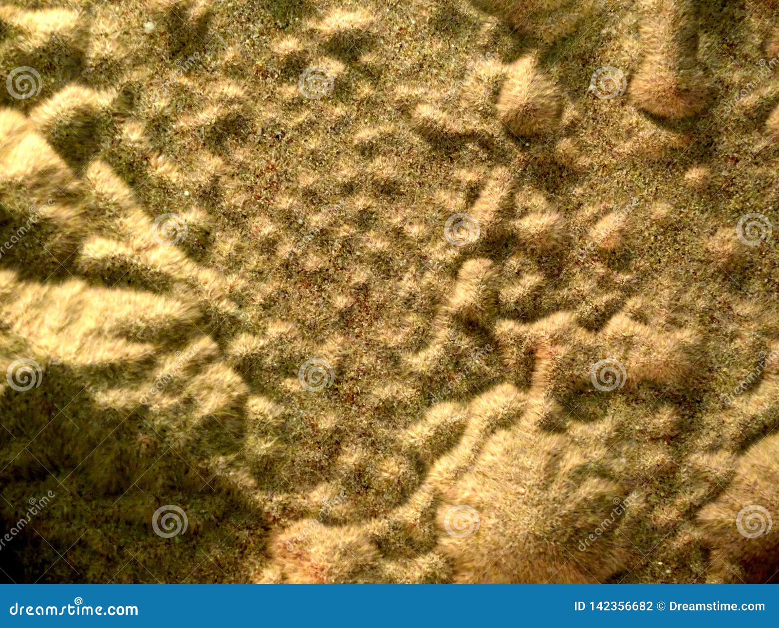 Fluffy Sand Produced by Vibrating Surface. Abstract Background that ...