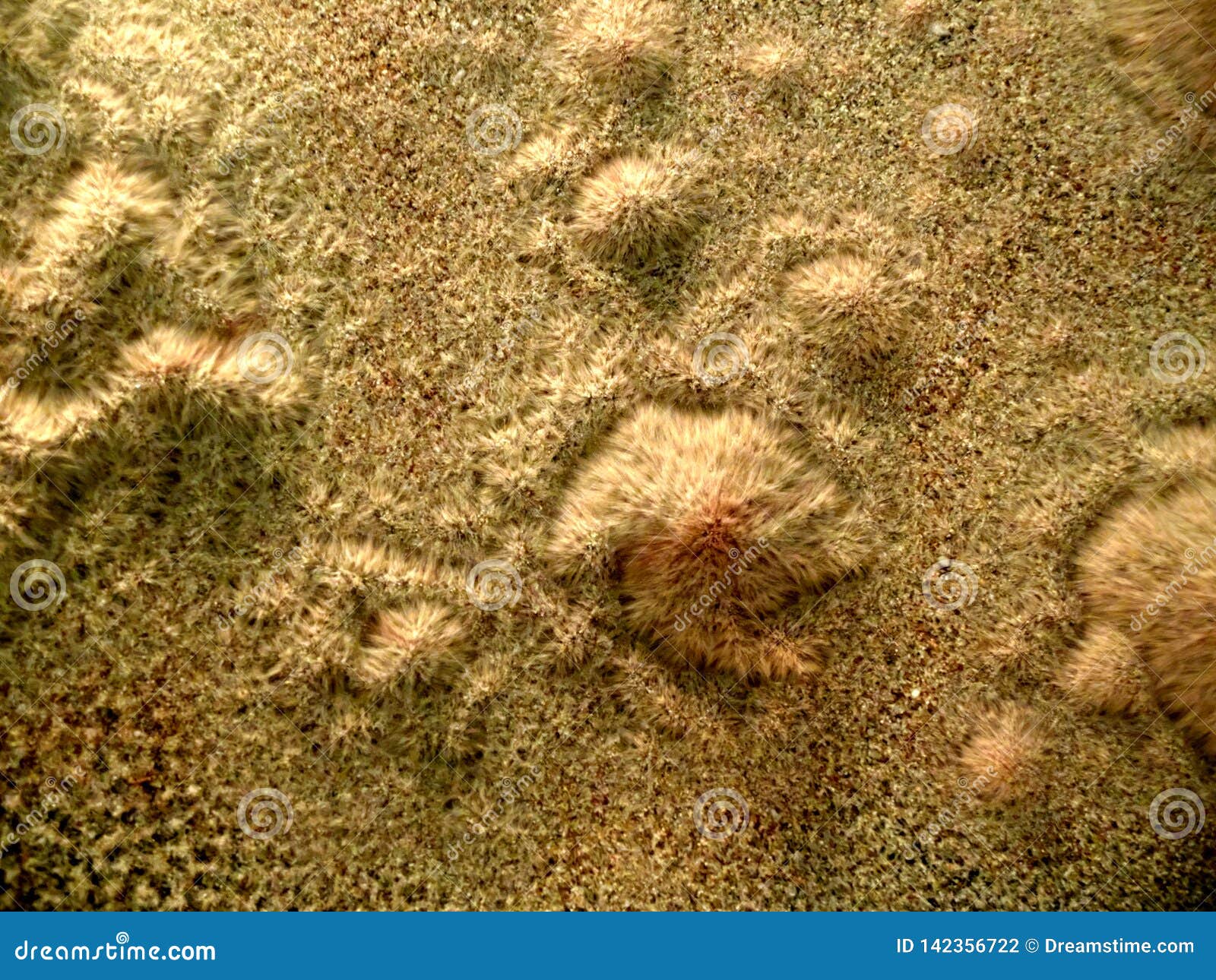 Fluffy Sand Produced by Vibrating Surface. Abstract Background that ...