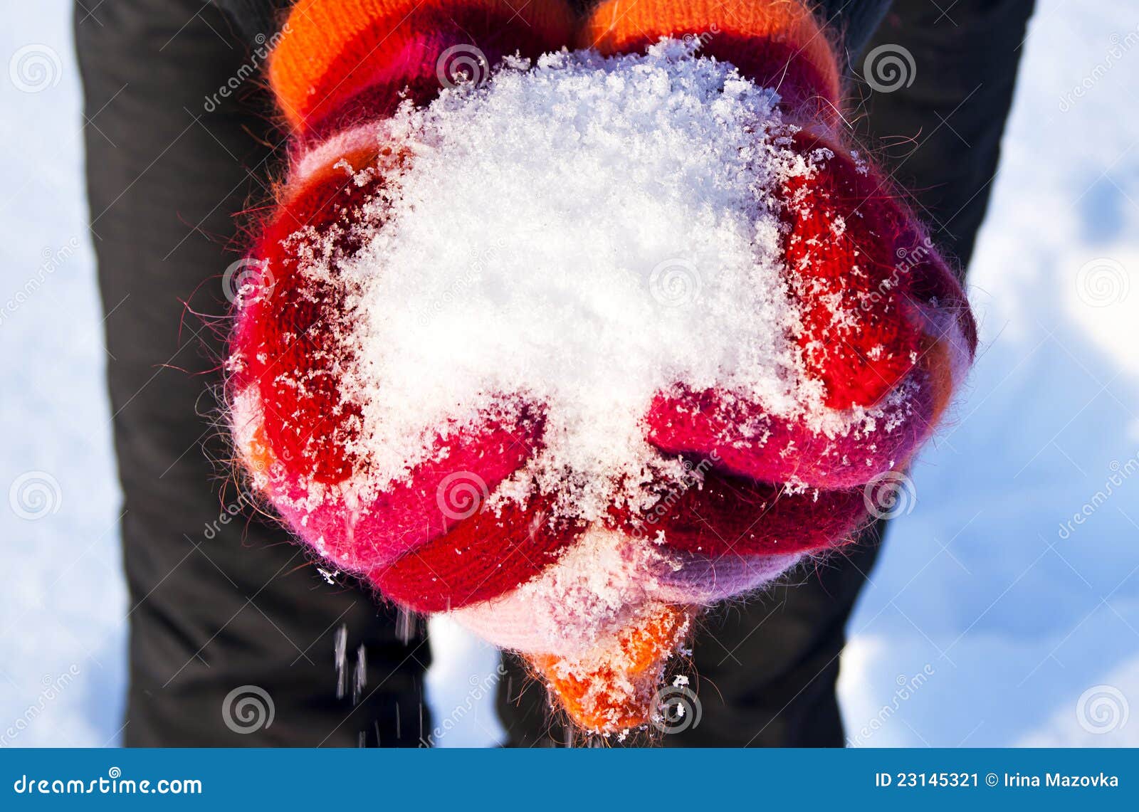 Fluffy Snow Holds in His Hands Stock Image - Image of adults, palm ...