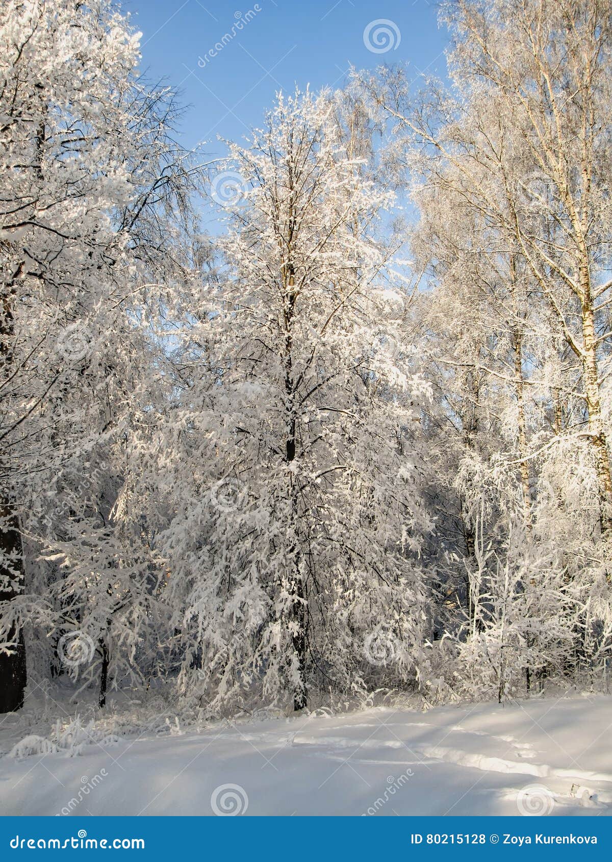 Fluffy snow stock photo. Image of blue, winter, bridge - 80215128