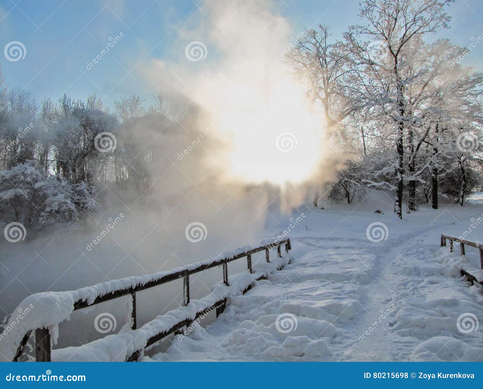 Fluffy snow stock photo. Image of fluffy, winter, bushes - 80215698