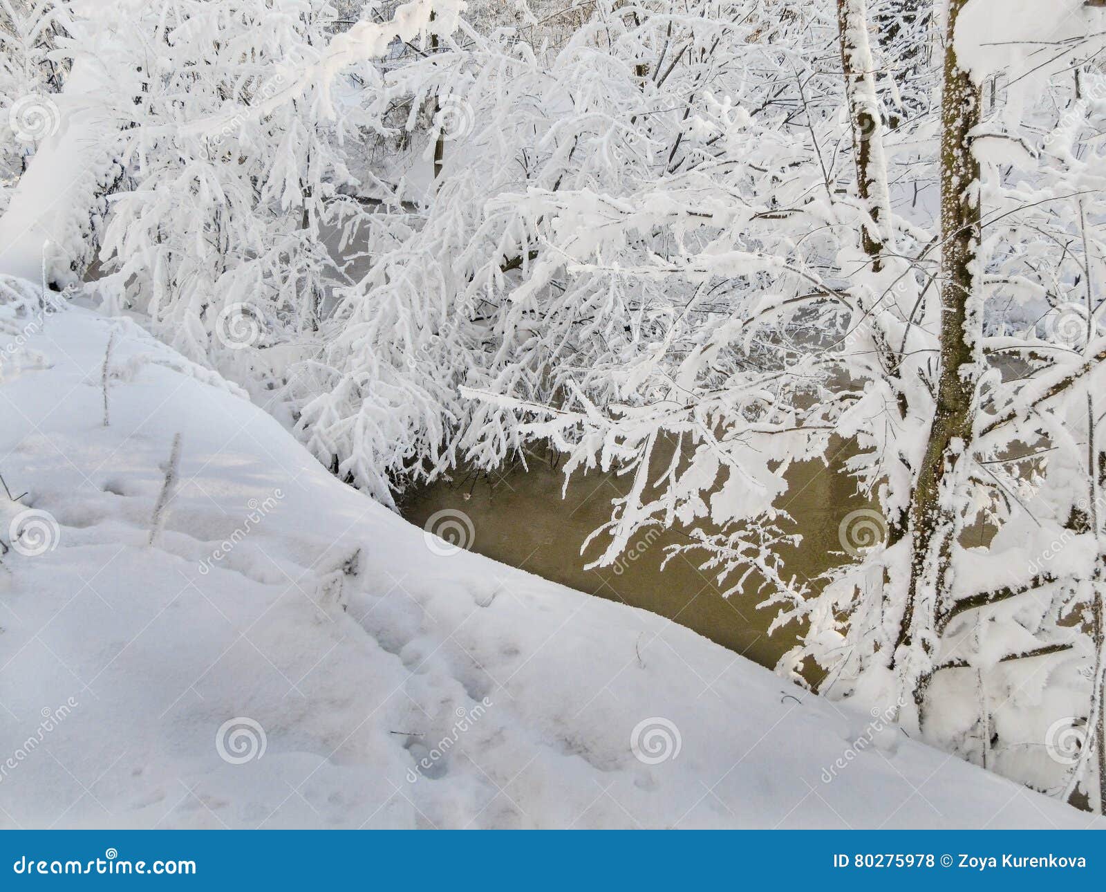 Fluffy snow stock photo. Image of fluffy, cold, january - 80275978
