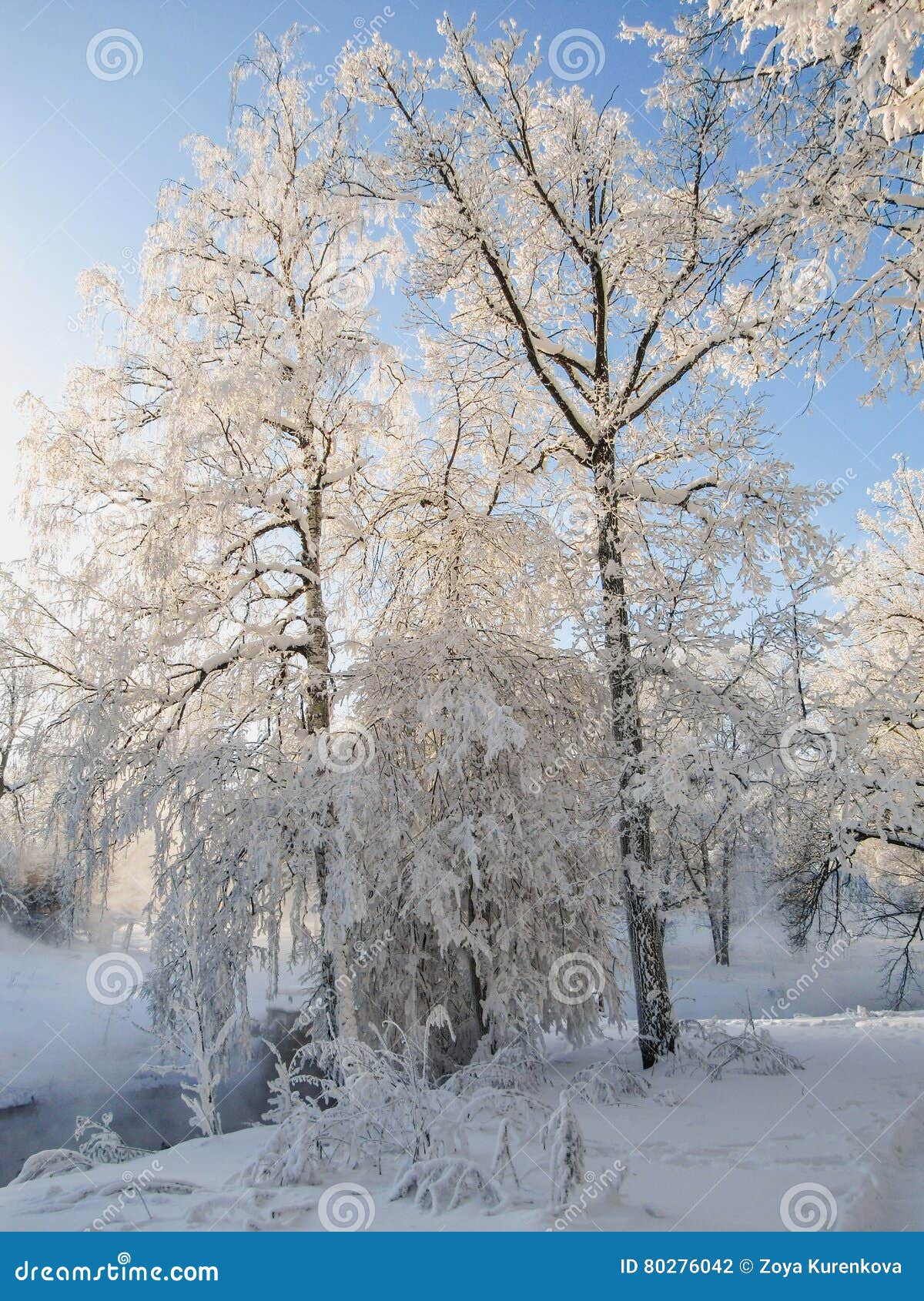 Fluffy snow stock photo. Image of winter, bridge, cold - 80276042