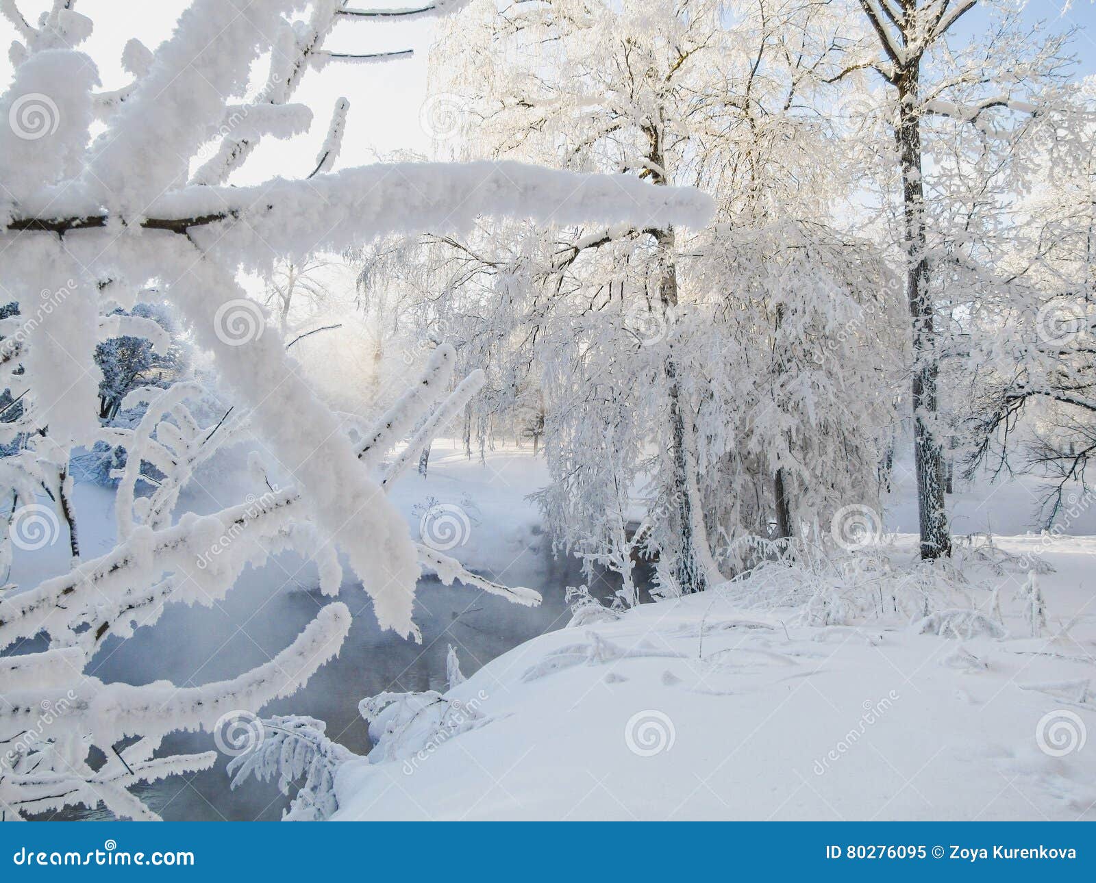 Fluffy snow stock image. Image of shadow, winter, snow - 80276095