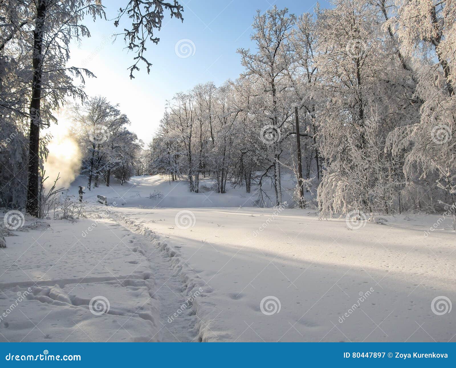 Fluffy snow stock image. Image of frost, snow, january - 80447897