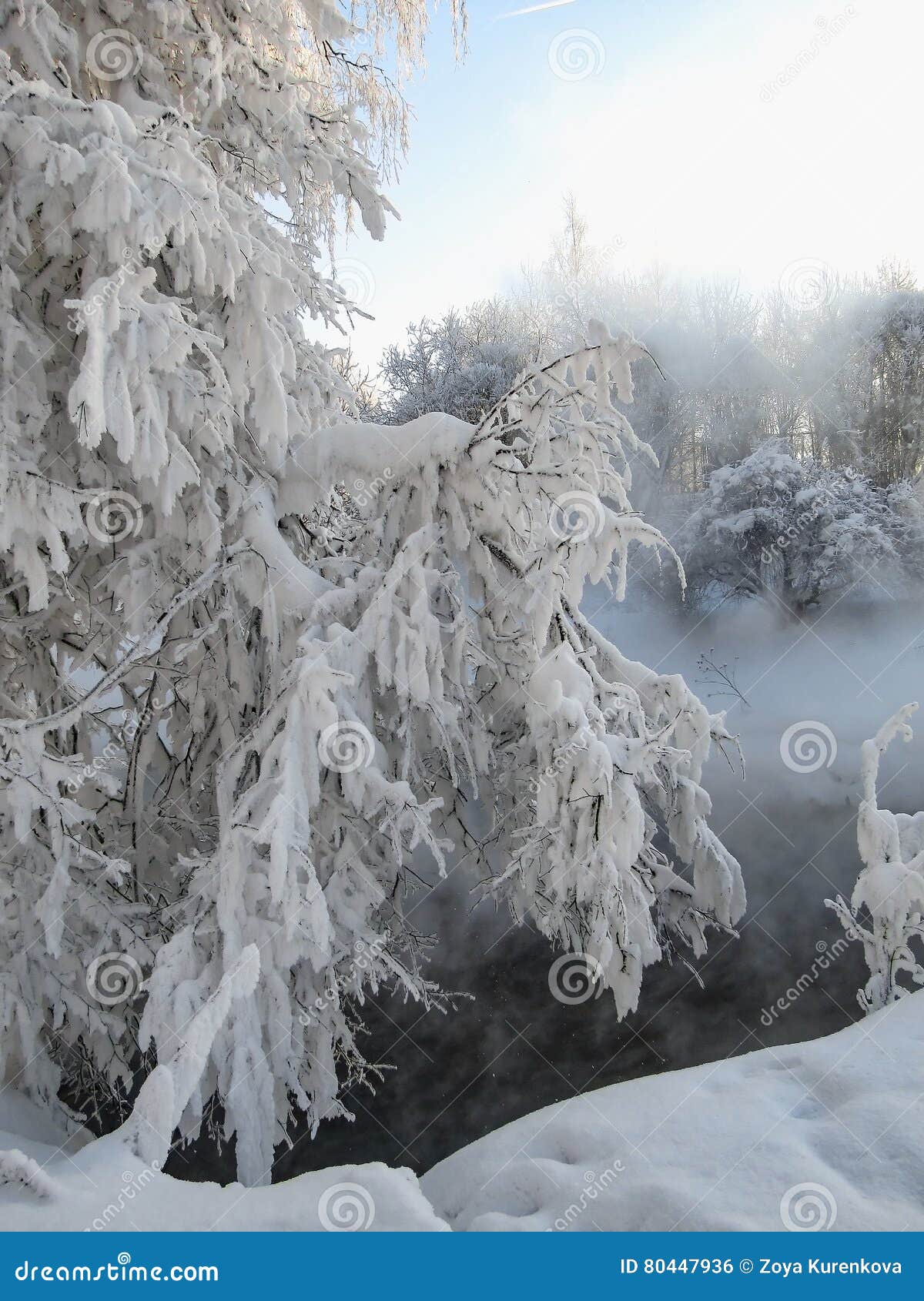 Fluffy snow stock photo. Image of winter, cold, frost - 80447936