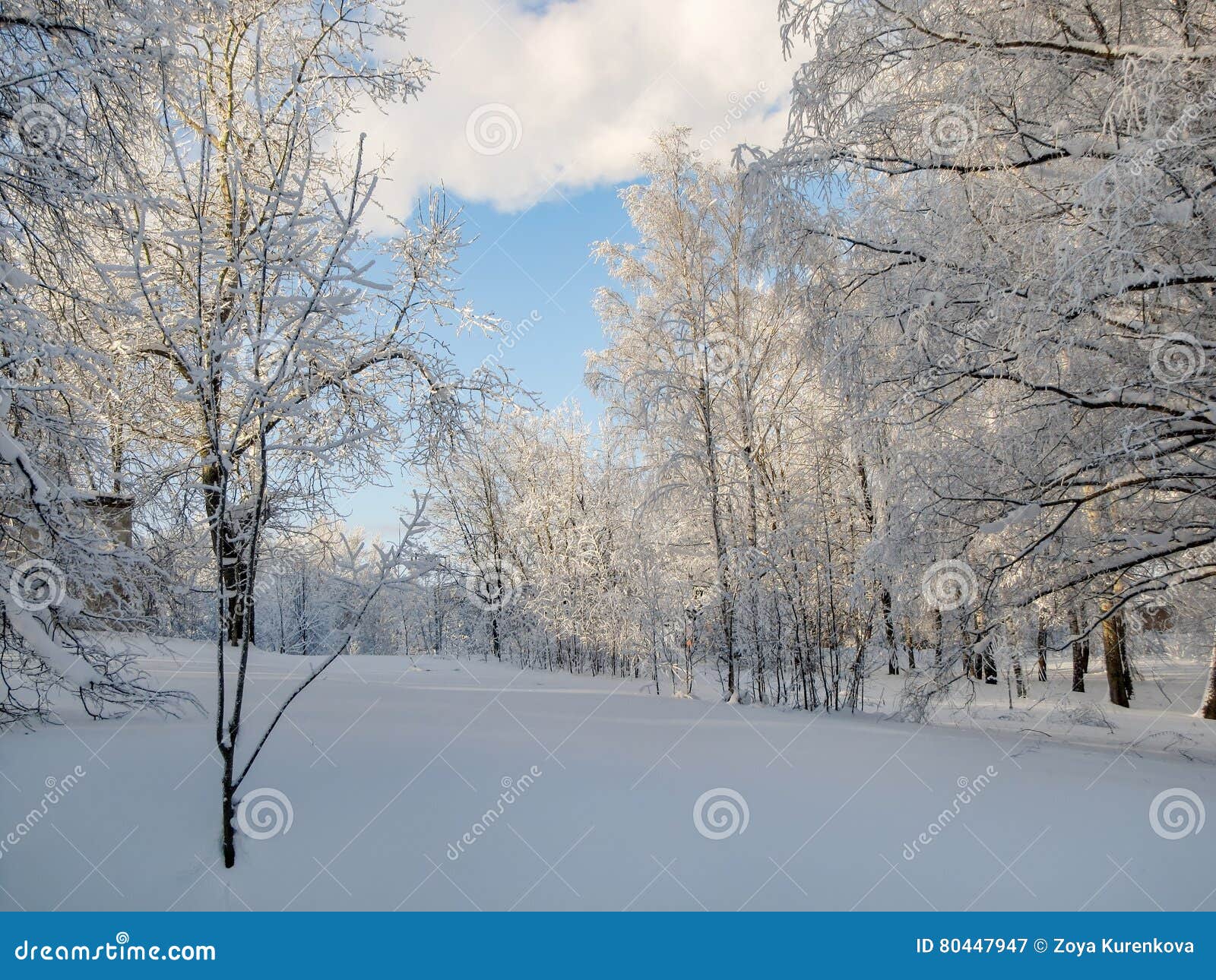 Fluffy snow stock image. Image of light, winter, cold - 80447947