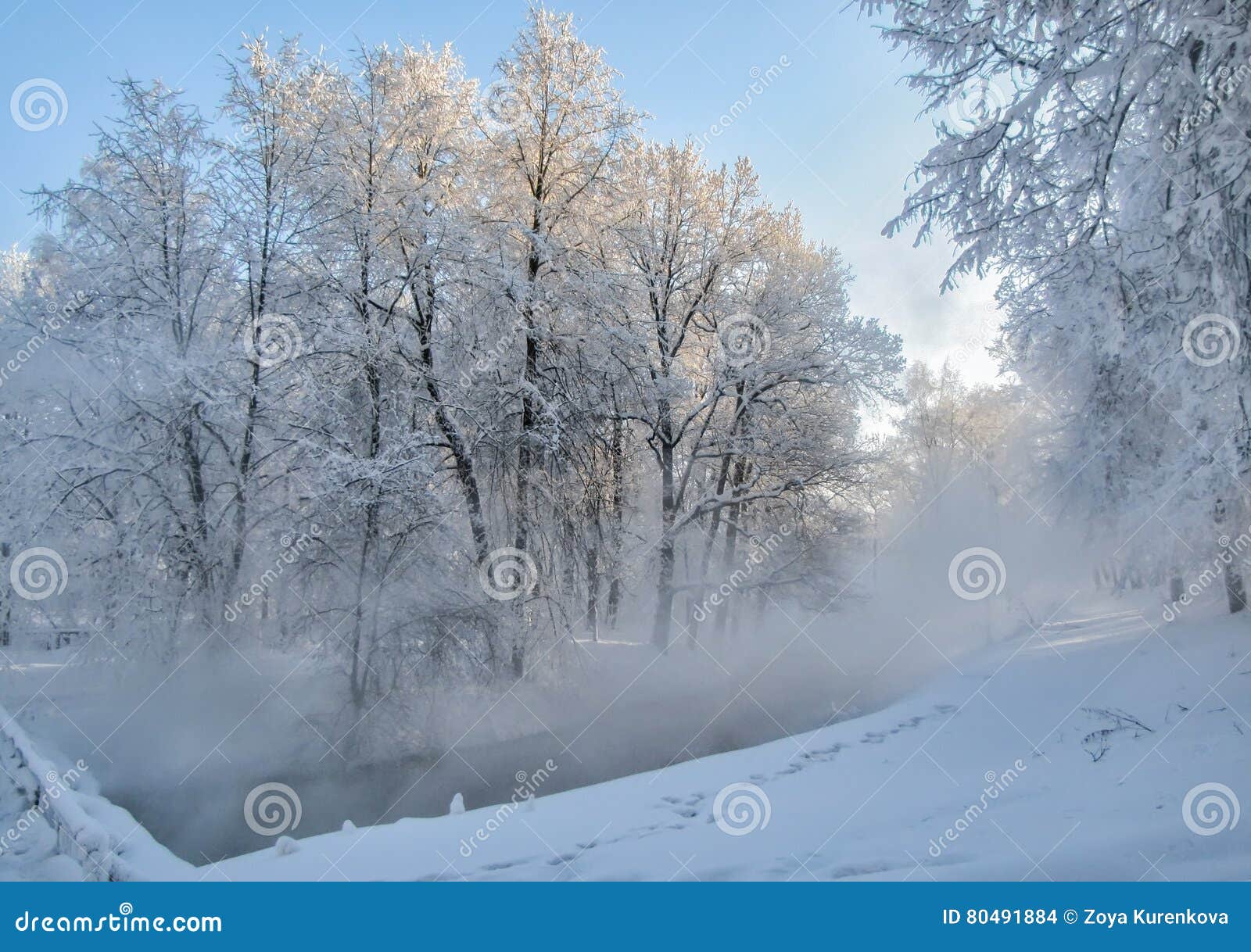 Fluffy snow stock photo. Image of frost, light, cold - 80491884