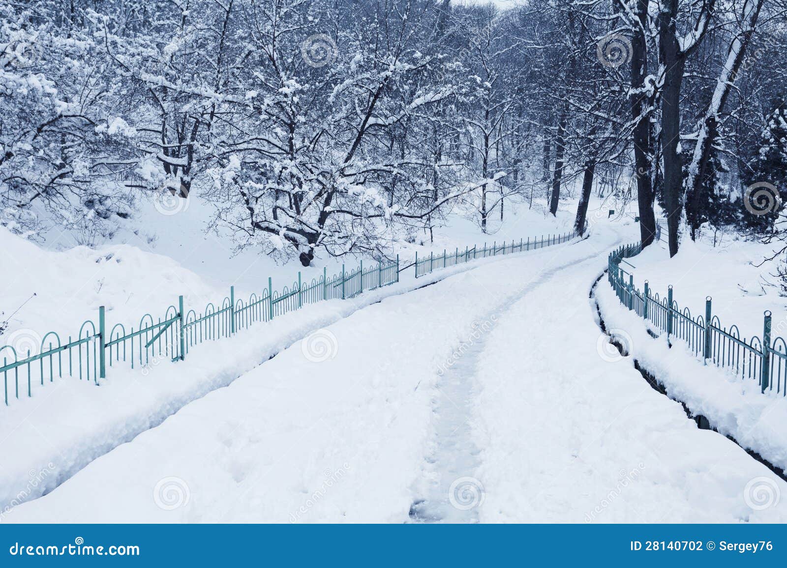 Fluffy Snow on Trees and Pathway Stock Photo - Image of blue, season ...