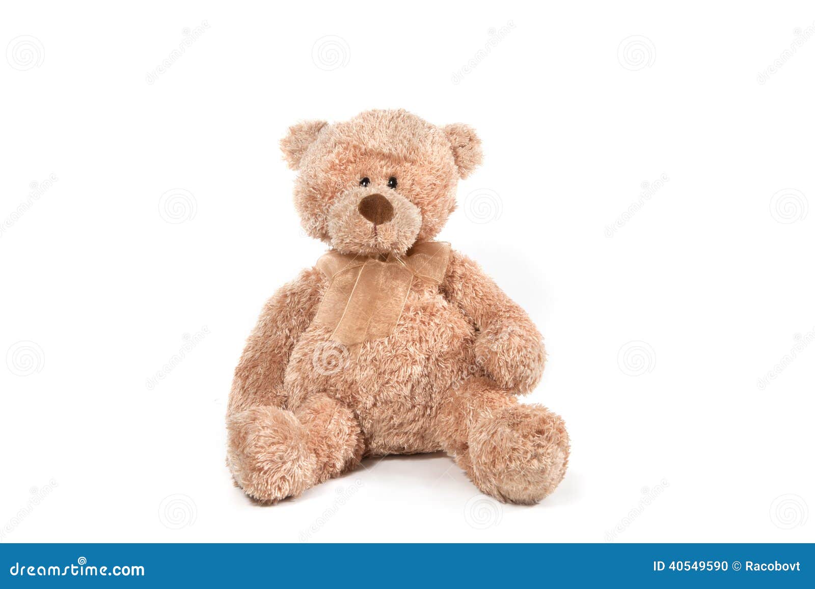 Fluffy teddy bear stock photo. Image of character, small - 40549590