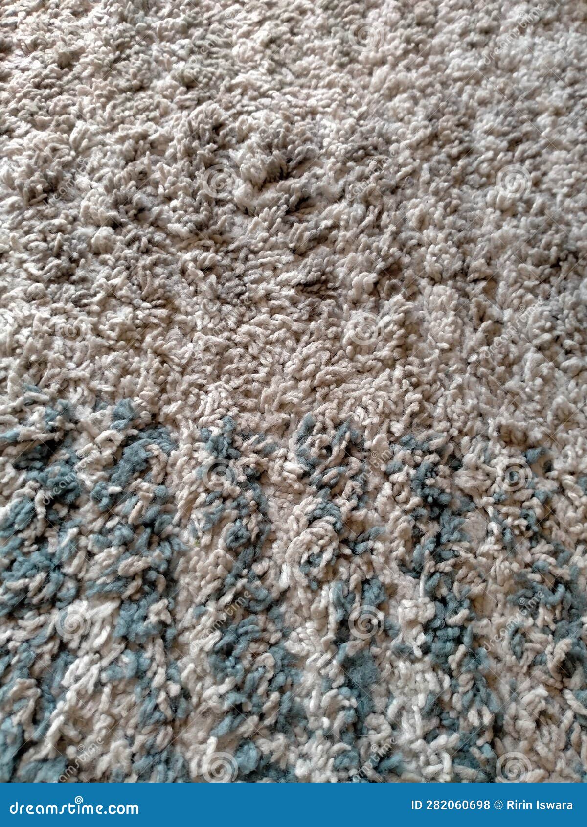 Fluffy texture carpet stock photo. Image of wildlife - 282060698