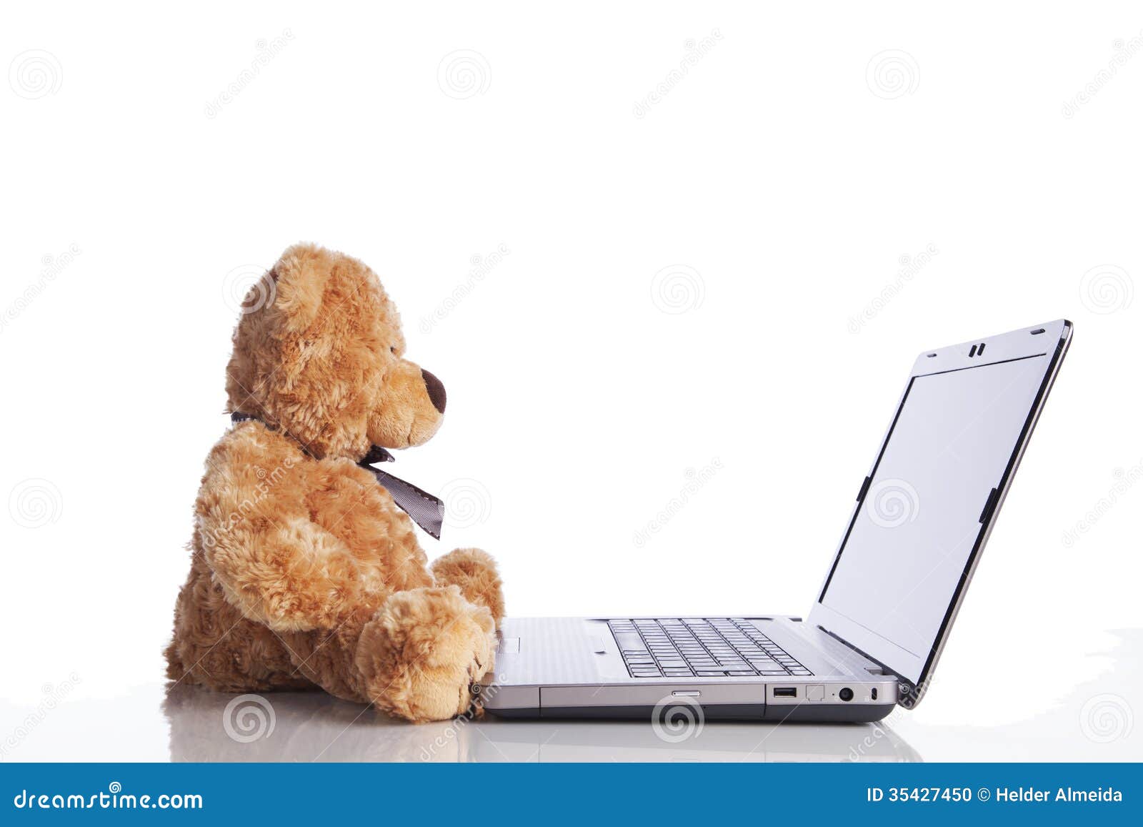 Fluffy Toy Bear and a Laptop Stock Photo - Image of internet, surfing ...