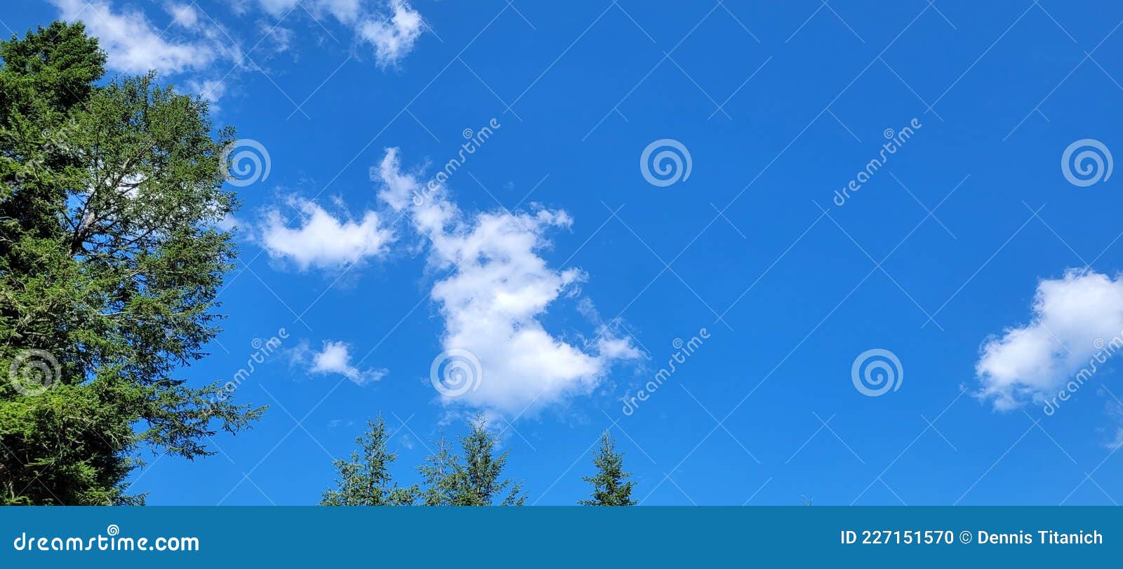 Fluffy White Cloud & Tree Look Forward Stock Photo - Image of nature ...