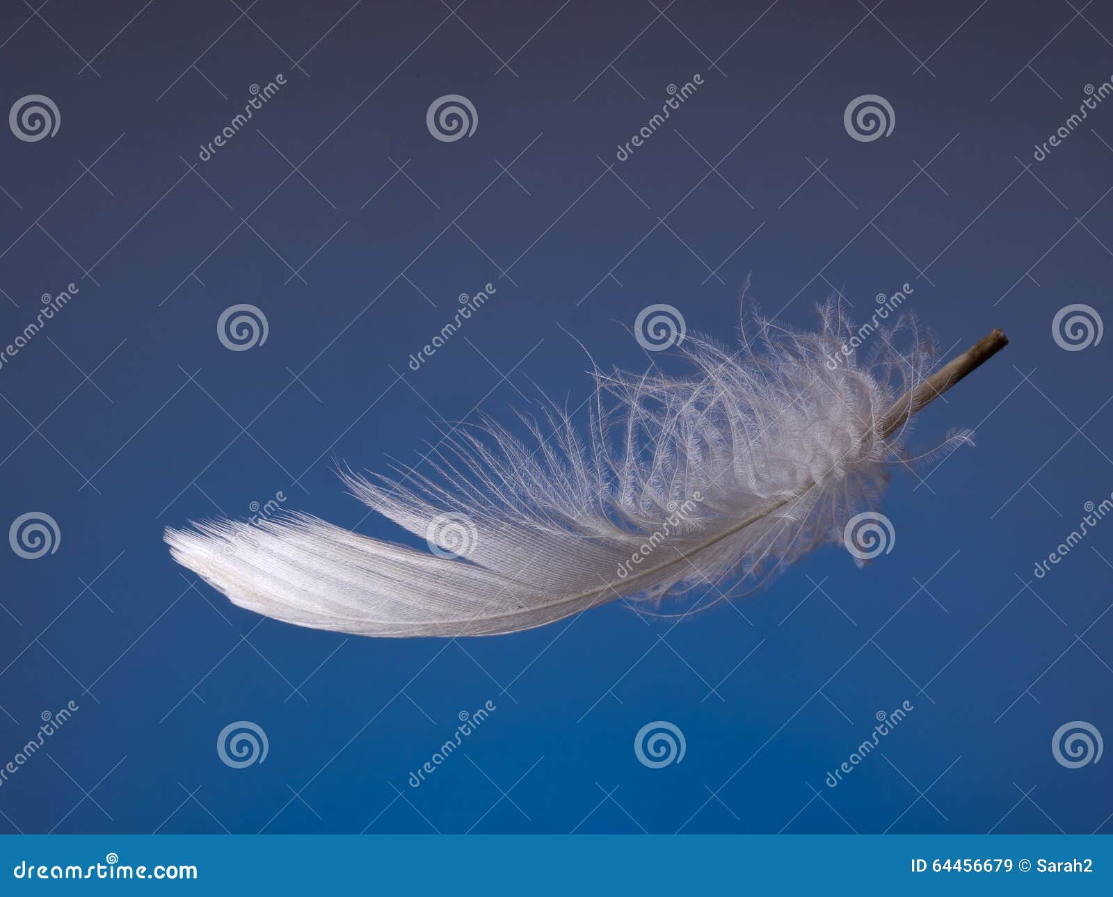 Fluffy White Feather Over Blue. Light. Floating. Stock Image - Image of ...