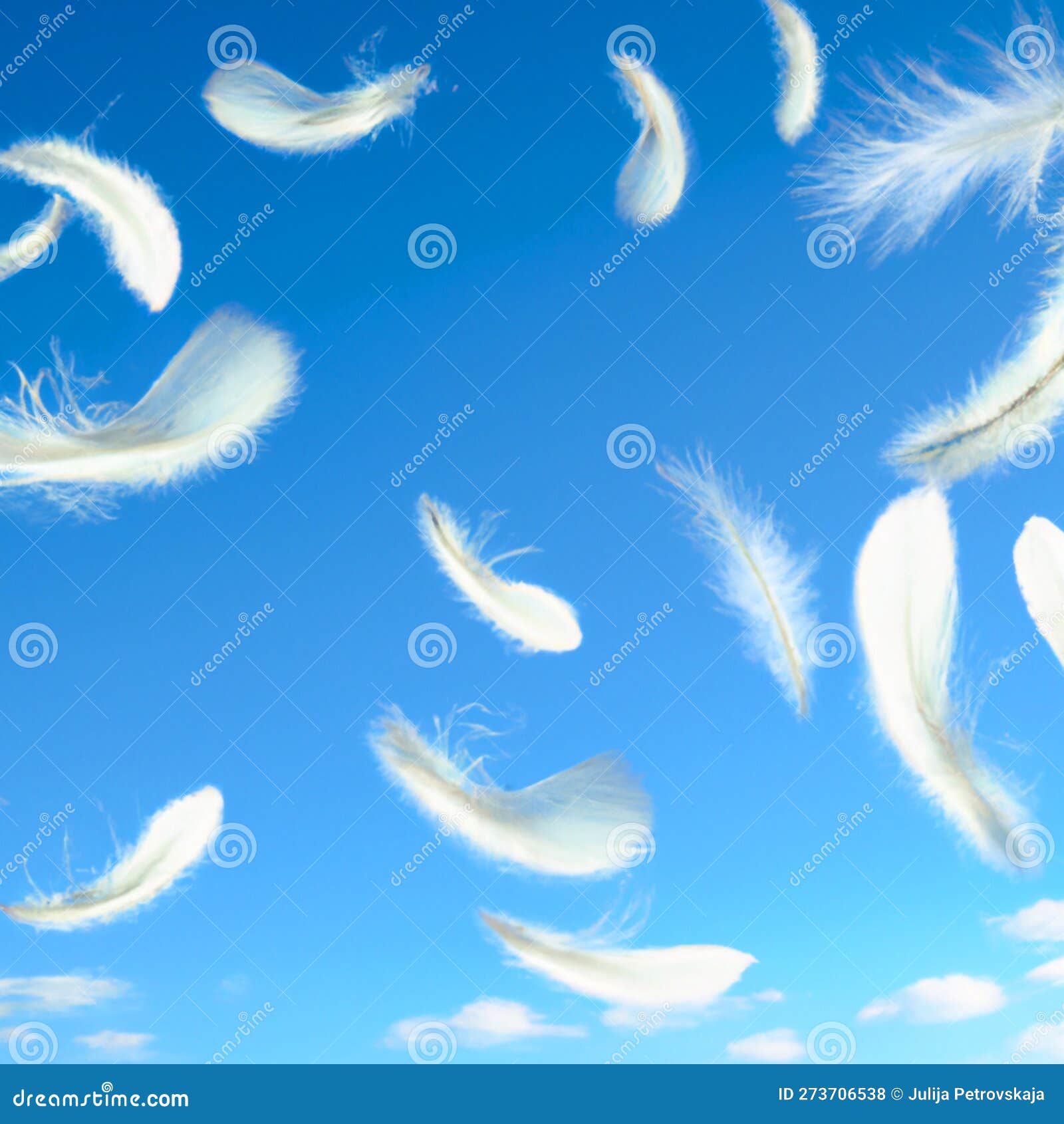 Fluffy White Feathers Falling Down In A Blue Sky. Feather Floating ...