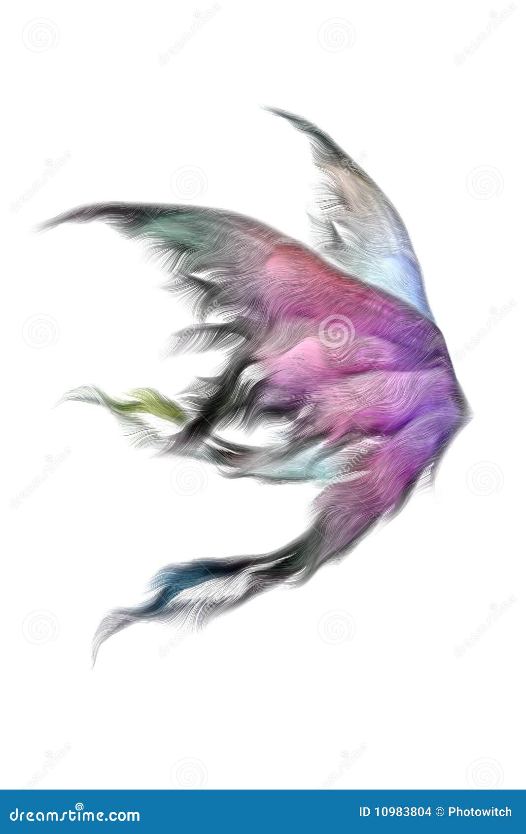 Fluffy wings stock photo. Image of feathers, fairytale - 10983804