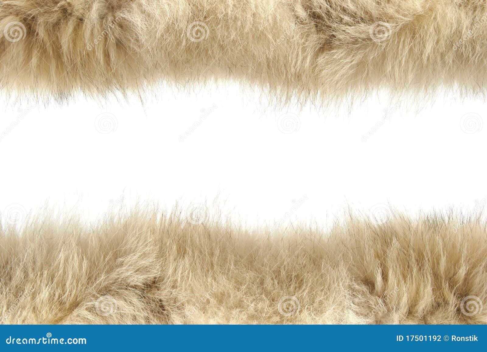 Fluffy wool texture stock photo. Image of sheepskin, pelt - 17501192
