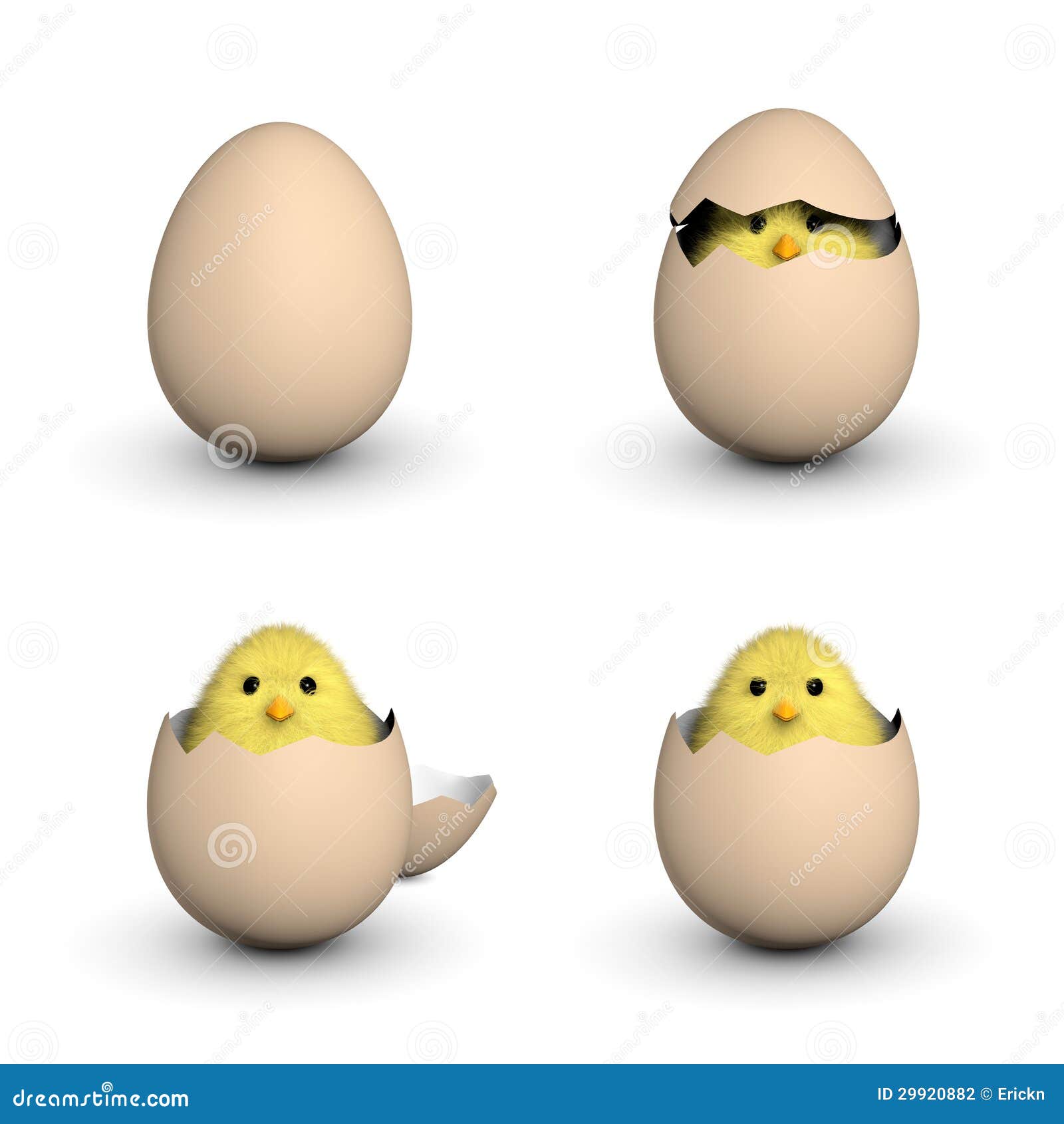 Yellow Chick Peekaboo stock illustration. Illustration of birth - 29920882