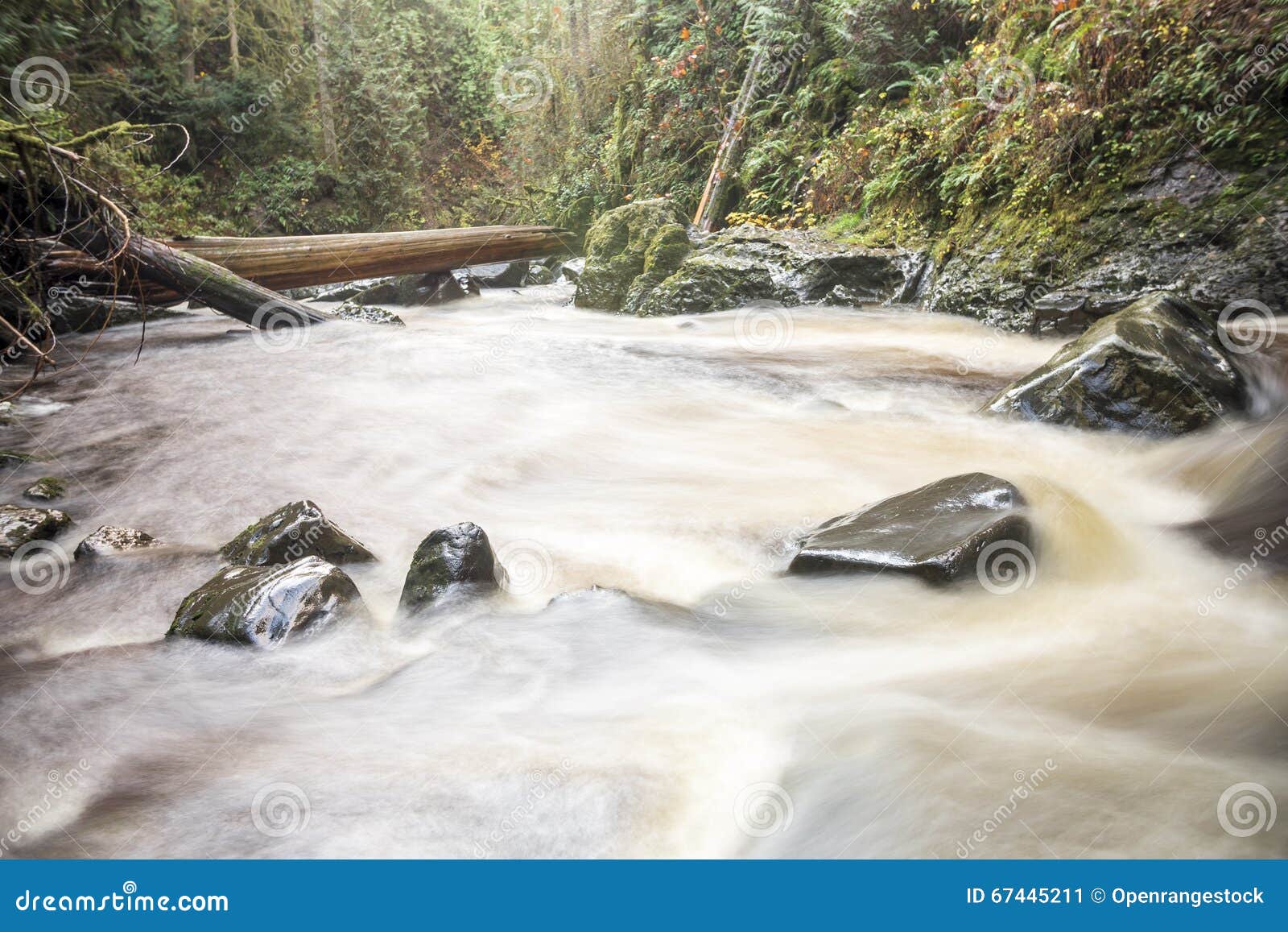 Fluid Motion White Water Flowing in Riverbed at Pacific Northwest ...
