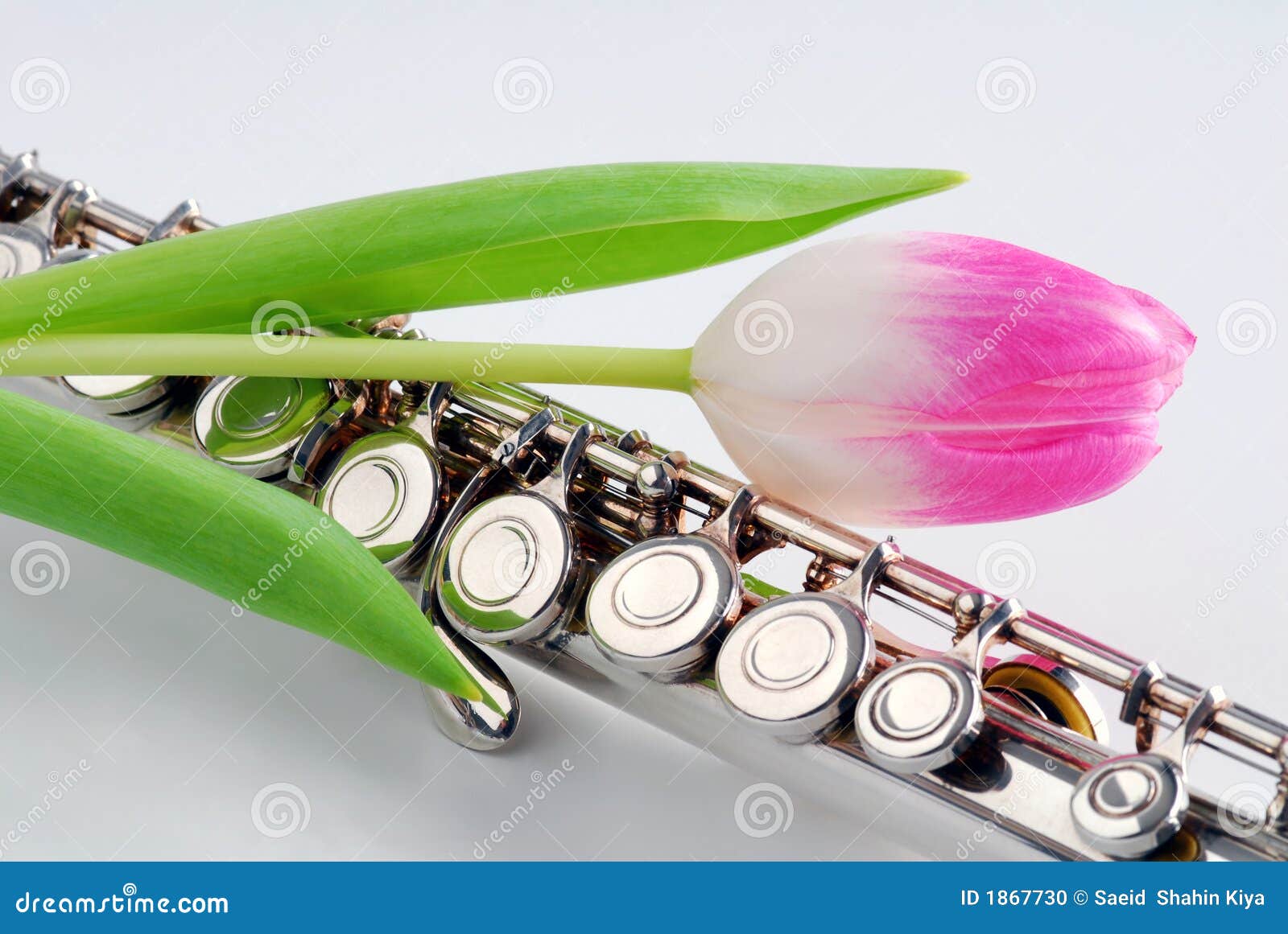 Fluit stock foto. Image of fluit, harmonie, melodie, zilver - 1867730