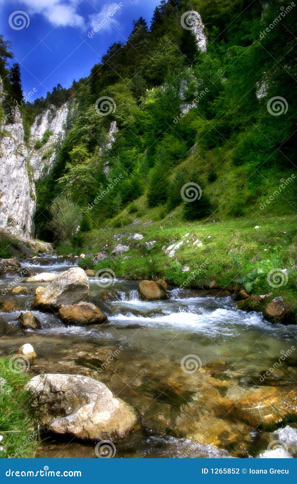 Flujo del río foto de archivo. Imagen de verde, rocas - 1265852